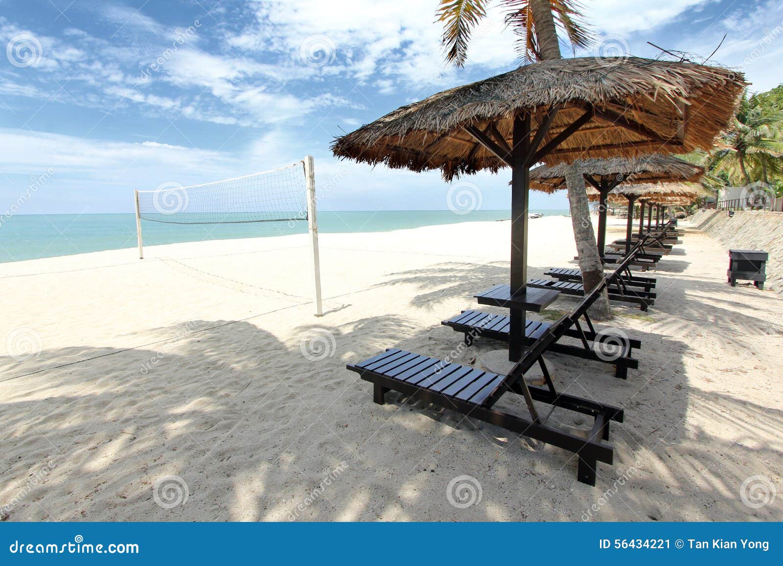 Tropical beach getaway stock image. Image of tour, trees - 56434221