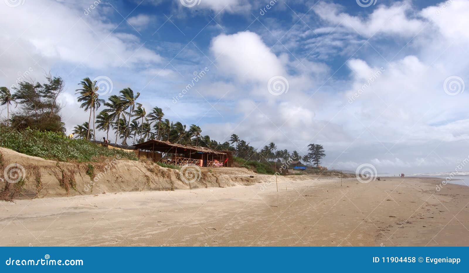 Tropical Beach of Mandrem, Goa Stock Photo - Image of asia, edge: 11904458