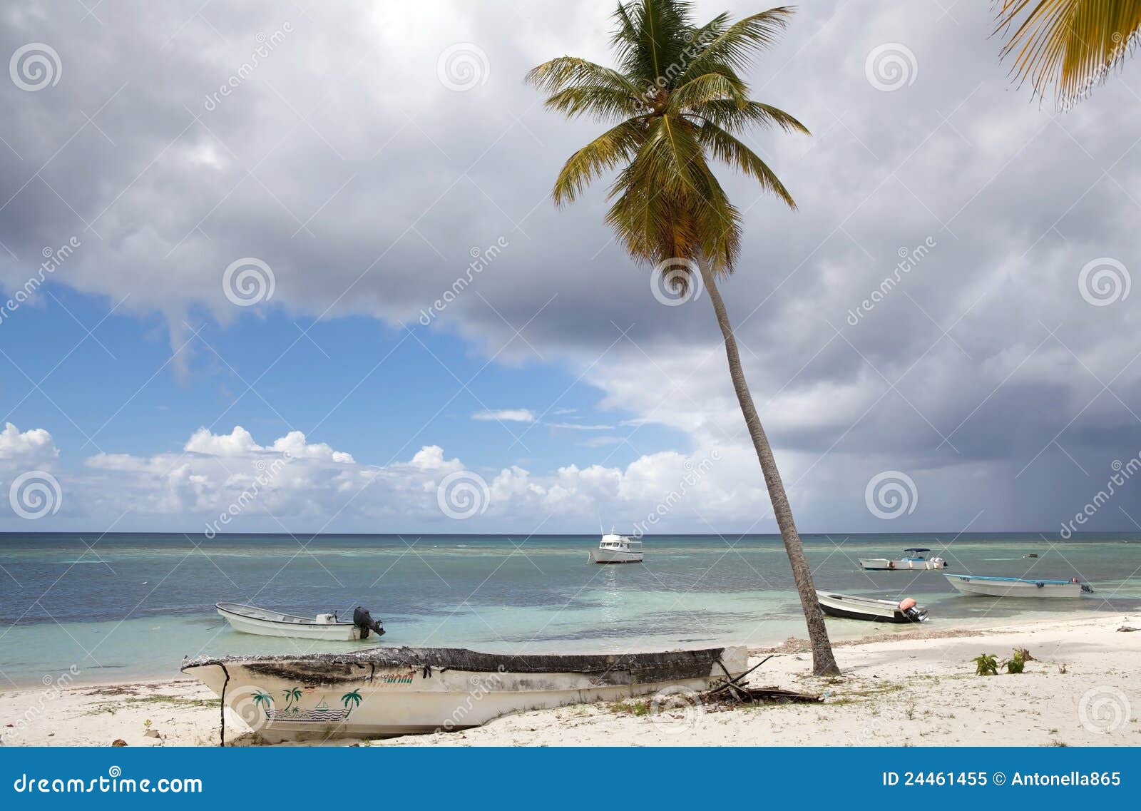 Tropical Beach, Palm Tree and Boats Stock Image - Image of sand, travel ...