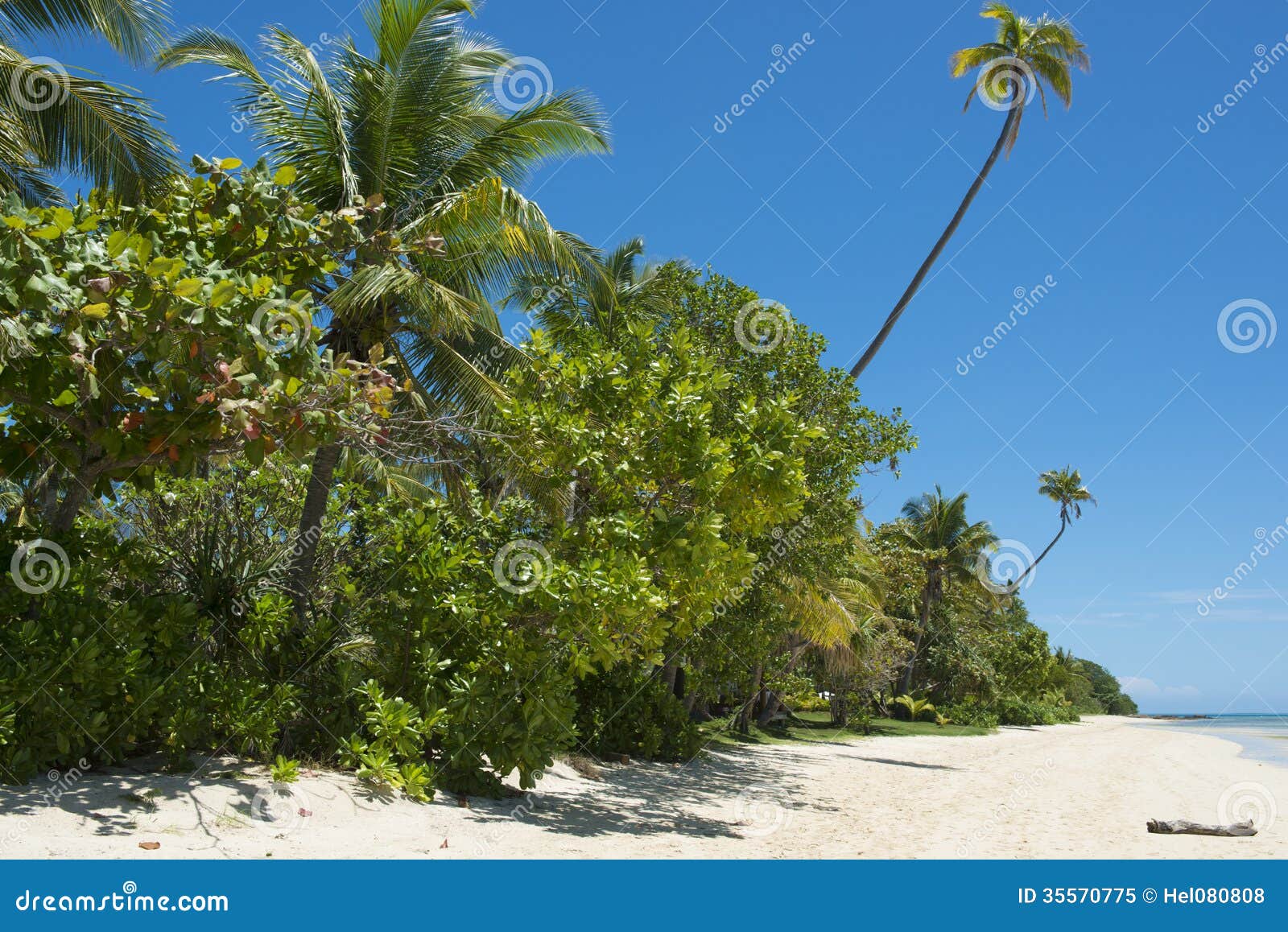 Tropical Beach stock image. Image of pacific, green, island - 35570775
