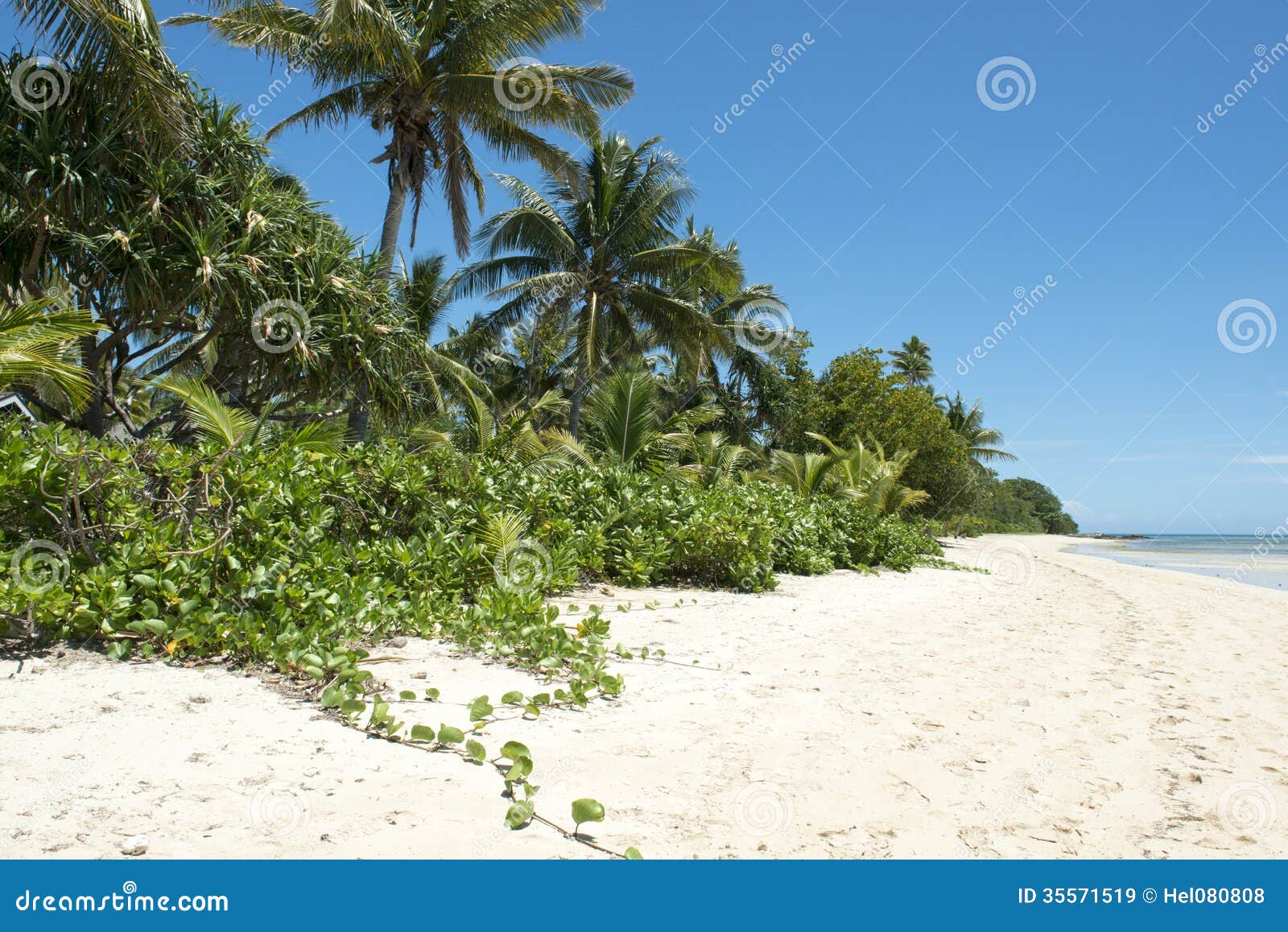 Tropical Beach stock image. Image of seas, nature, blue - 35571519