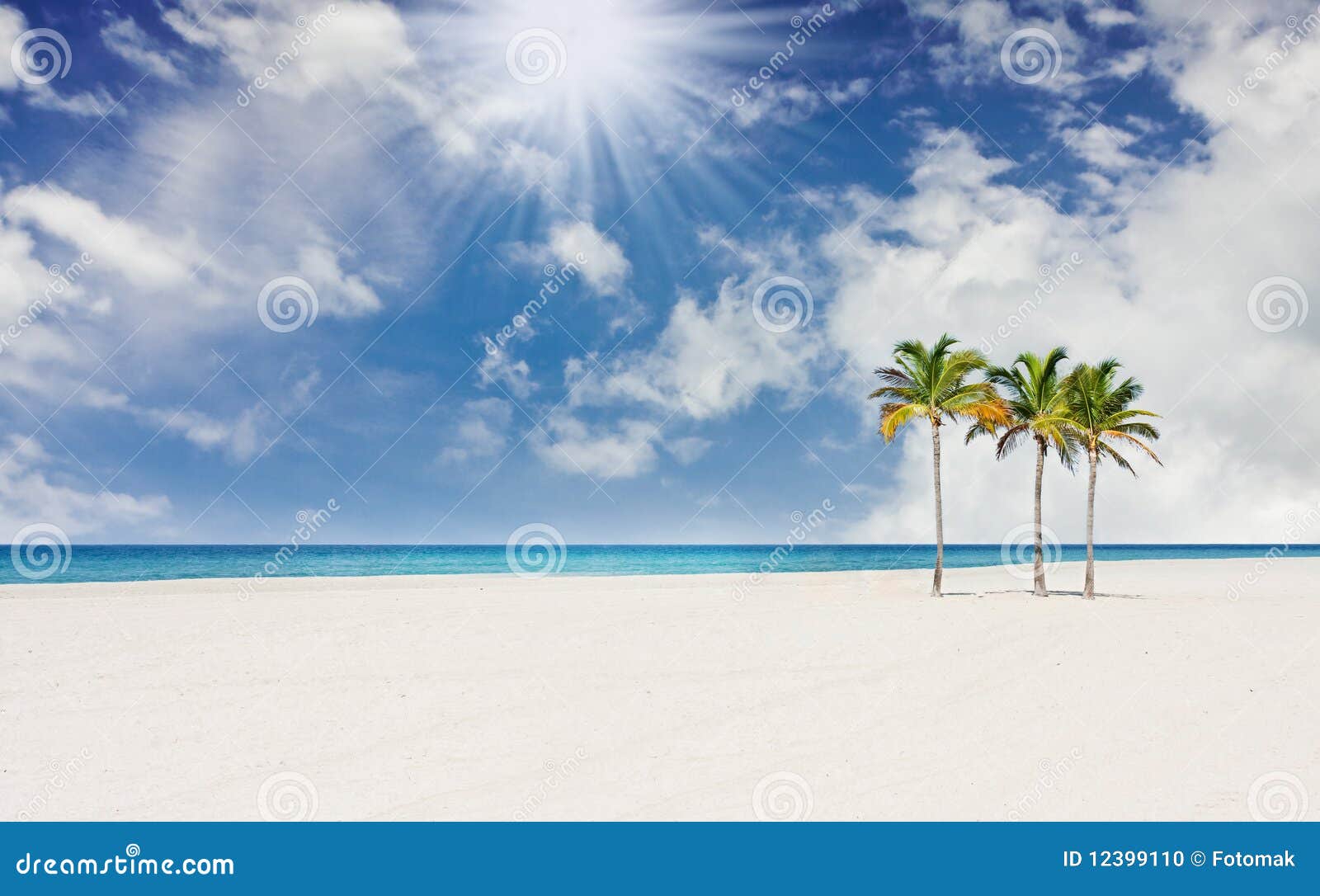 Tropical Beach with Palm Trees in Miami Florida Stock Photo - Image of ...