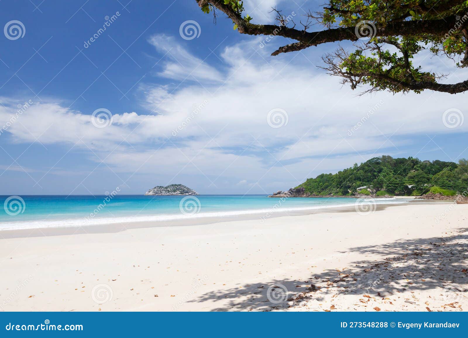Tropical Beach with Palm Trees Stock Photo - Image of holiday, water ...
