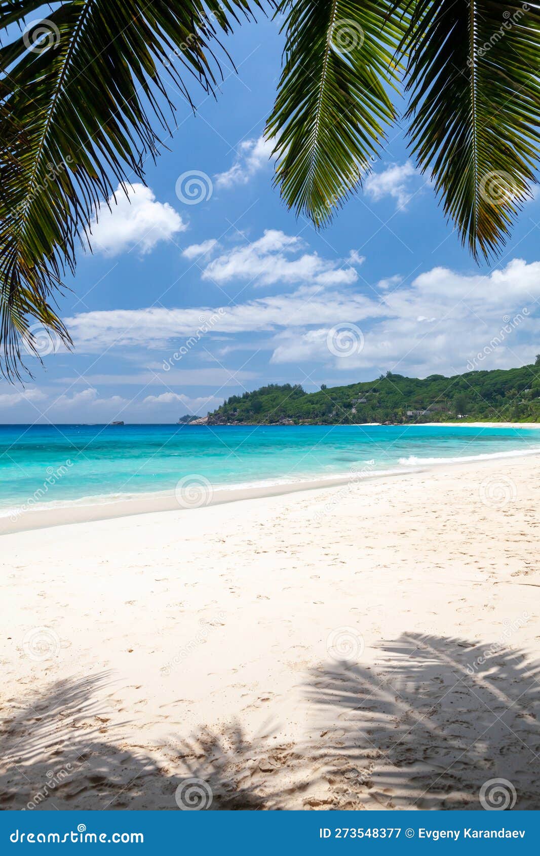 Tropical Beach with Palm Trees Stock Image - Image of island, water ...