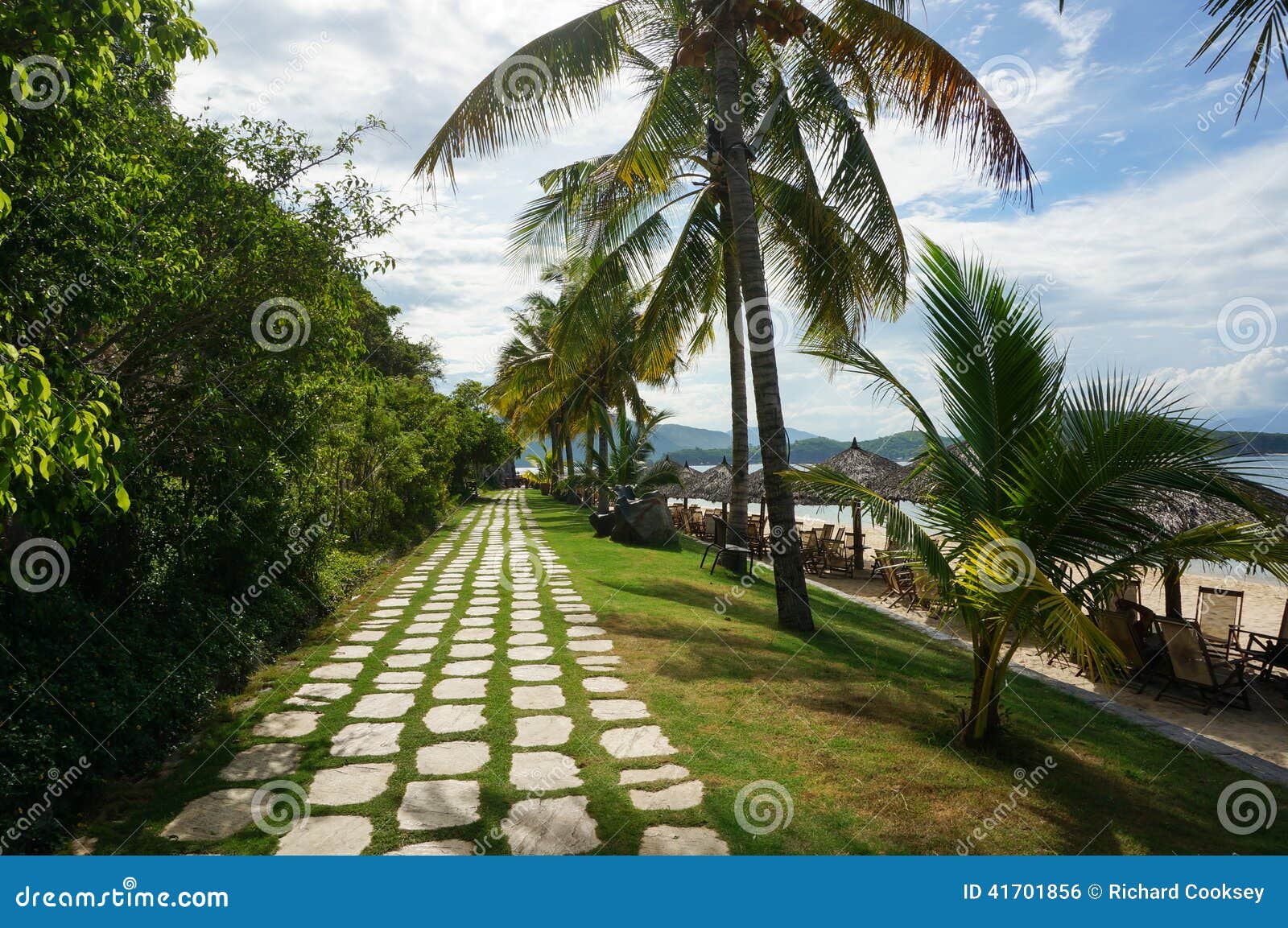 Tropical Beach path stock photo. Image of umbrellas, sand - 41701856