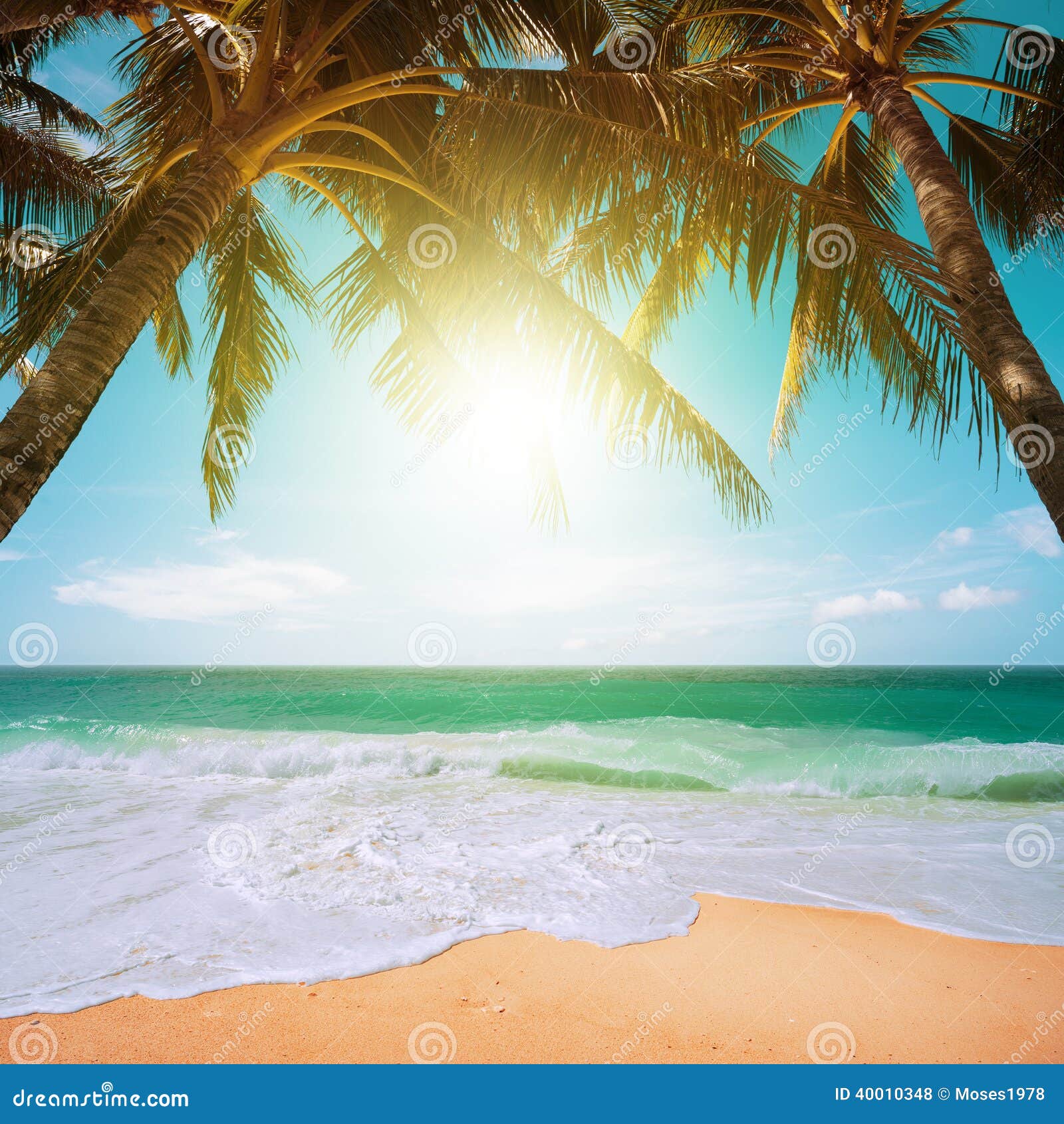 Tropical beach stock photo. Image of perfect, sunny, clouds - 40010348