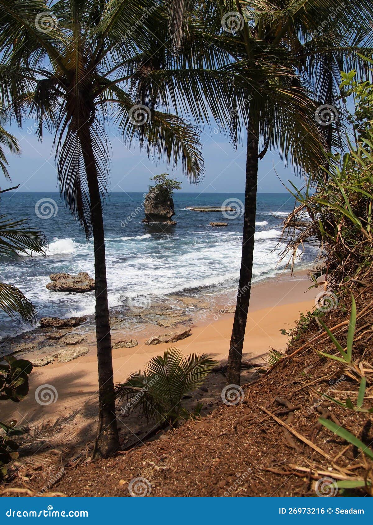 Tropical beach with a reef stock photo. Image of caribbean - 26973216