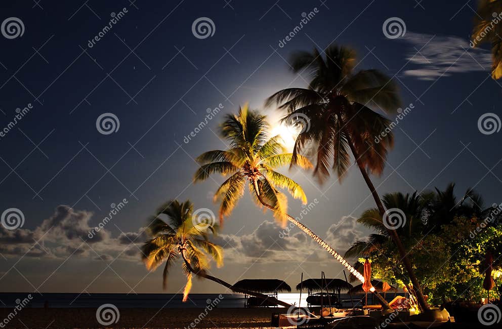 Tropical Beach Resort at Night. Stock Photo - Image of outdoor, lounge ...