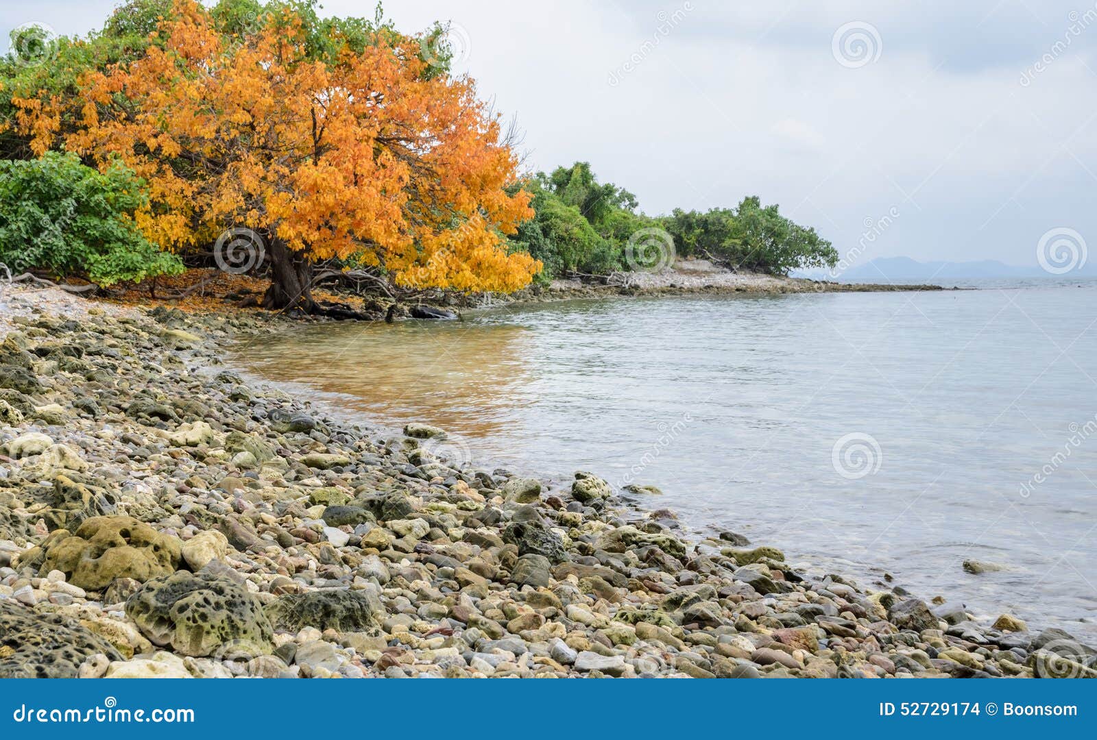 Tropical Beach Rock Shore, Thailand Stock Photo - Image of ...