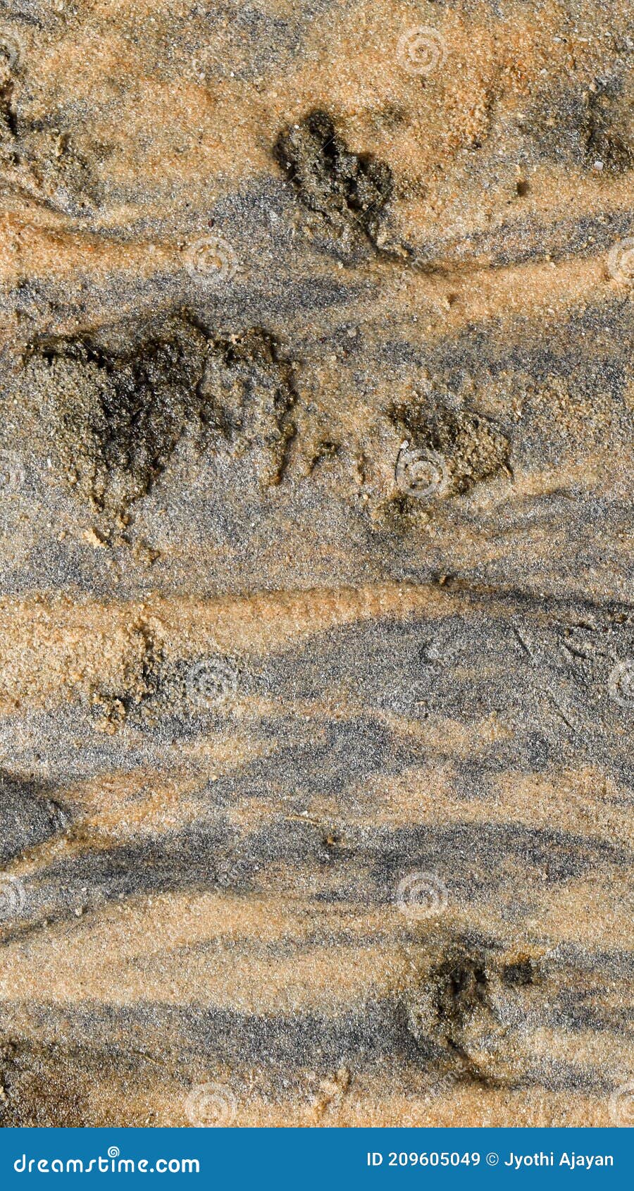 Tropical Beach Sand Black and Silt Stock Image - Image of beach, sand ...