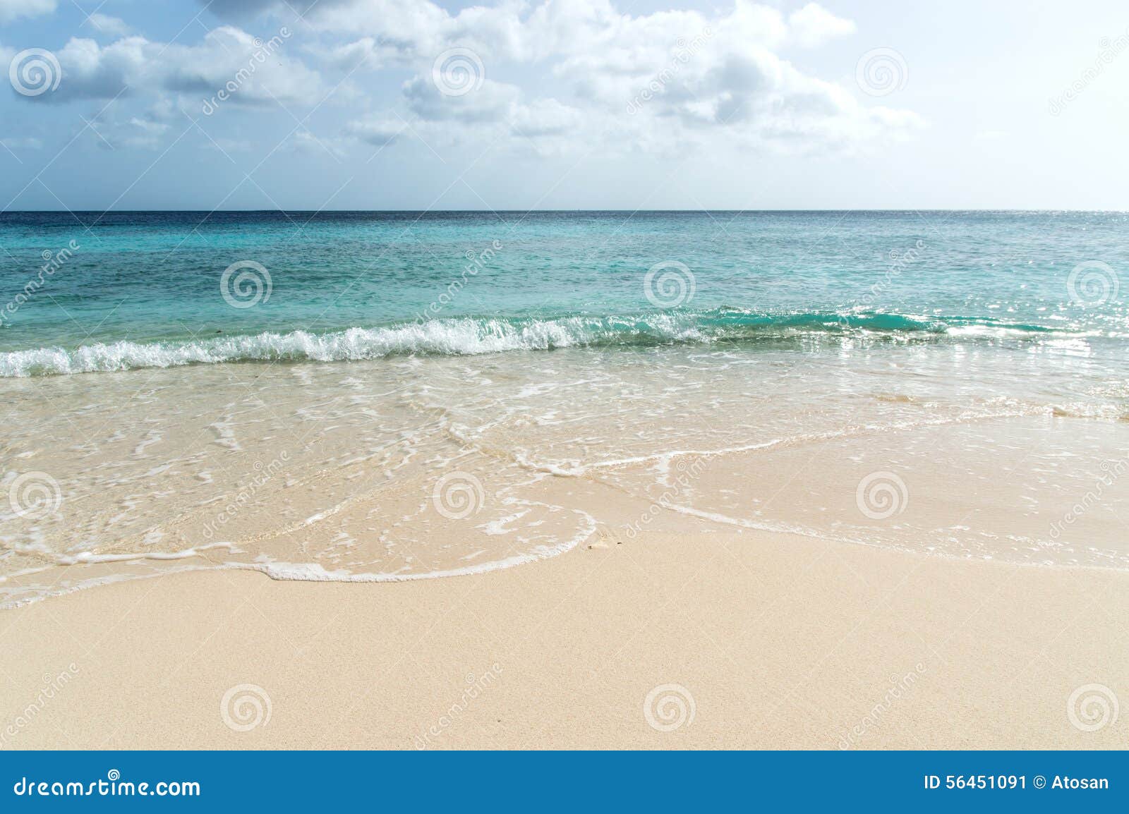 Tropical Beach stock image. Image of shore, ocean, south - 56451091
