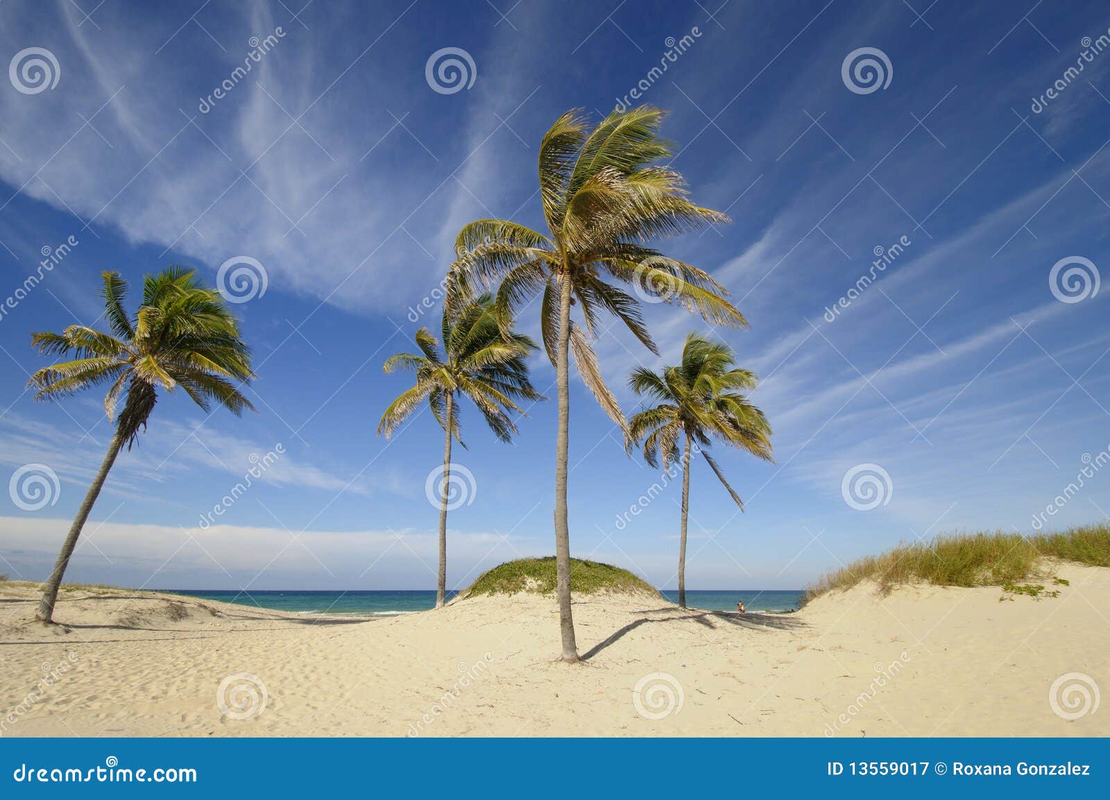 Tropical Beach at Santa Maria Del Mar, Cuba Stock Image - Image of ...