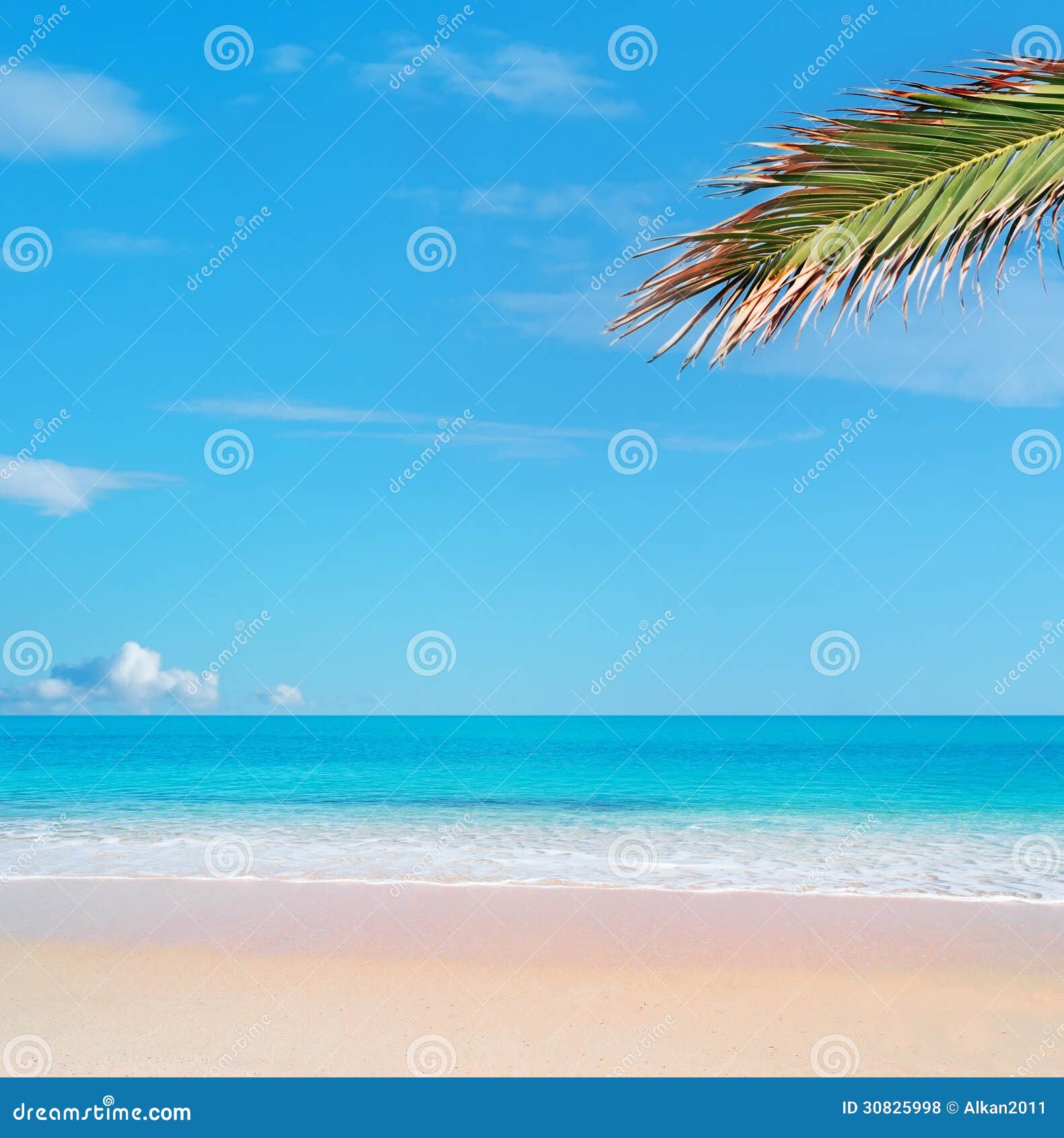 Tropical beach stock photo. Image of idyllic, relax, scenery - 30825998