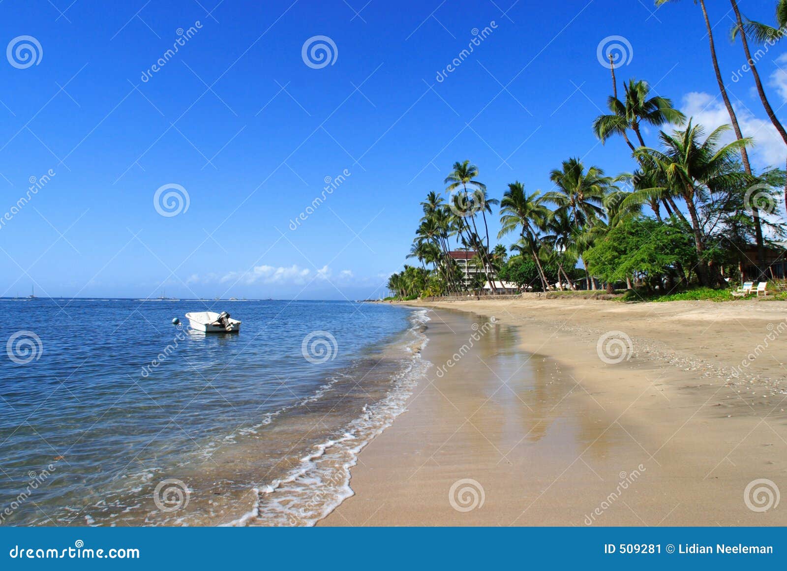 Tropical beach scene stock image. Image of water, tree - 509281