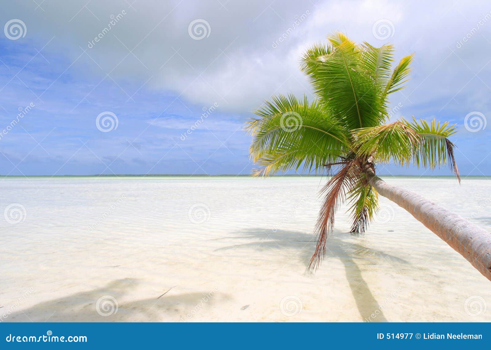 Tropical beach scene stock image. Image of scenic, tree - 514977