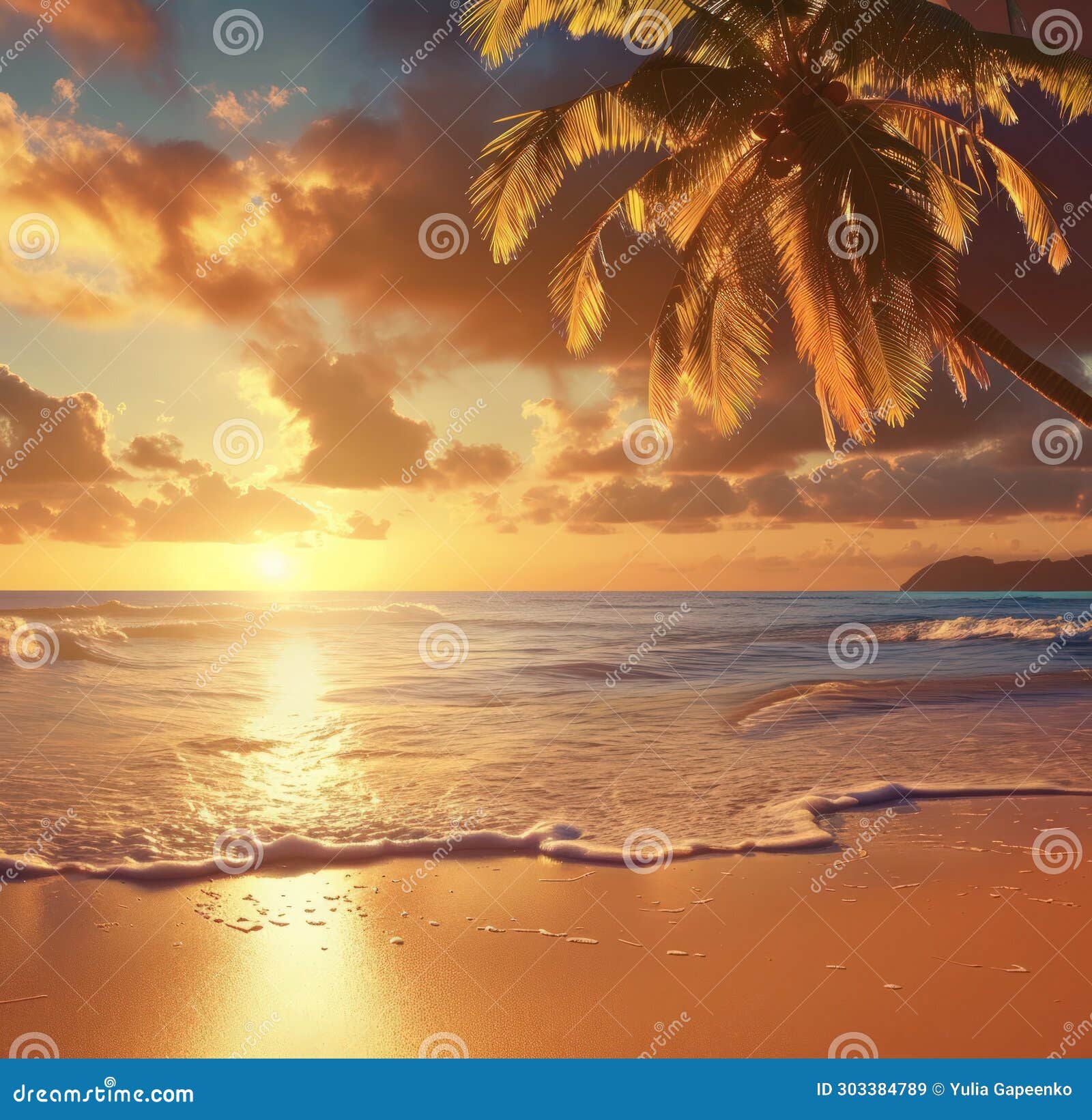Tropical Beach Scene at Sunset with Palm Tree Tropical Beach Stock ...