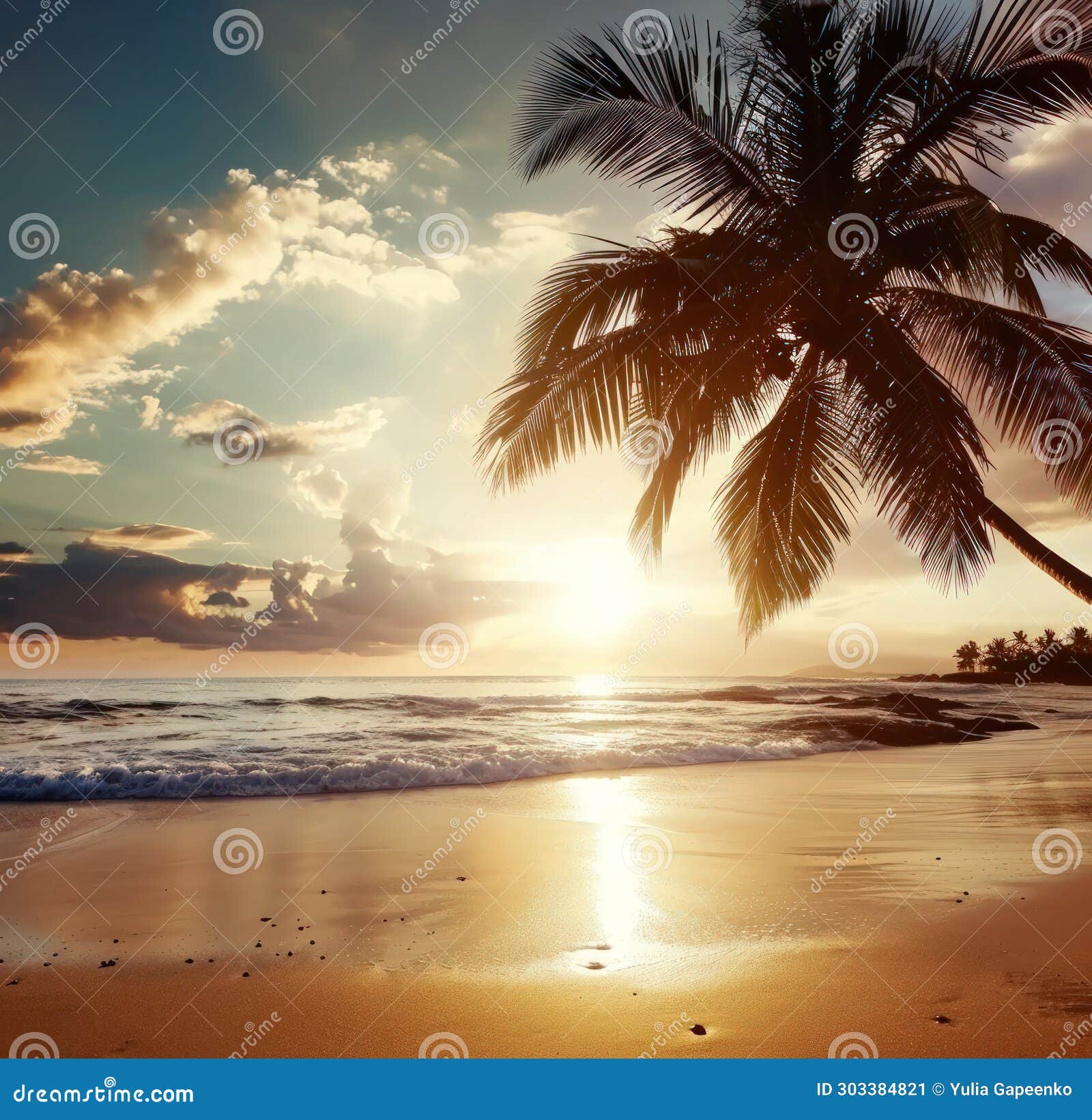 Tropical Beach Scene at Sunset with Palm Tree Tropical Beach Stock ...