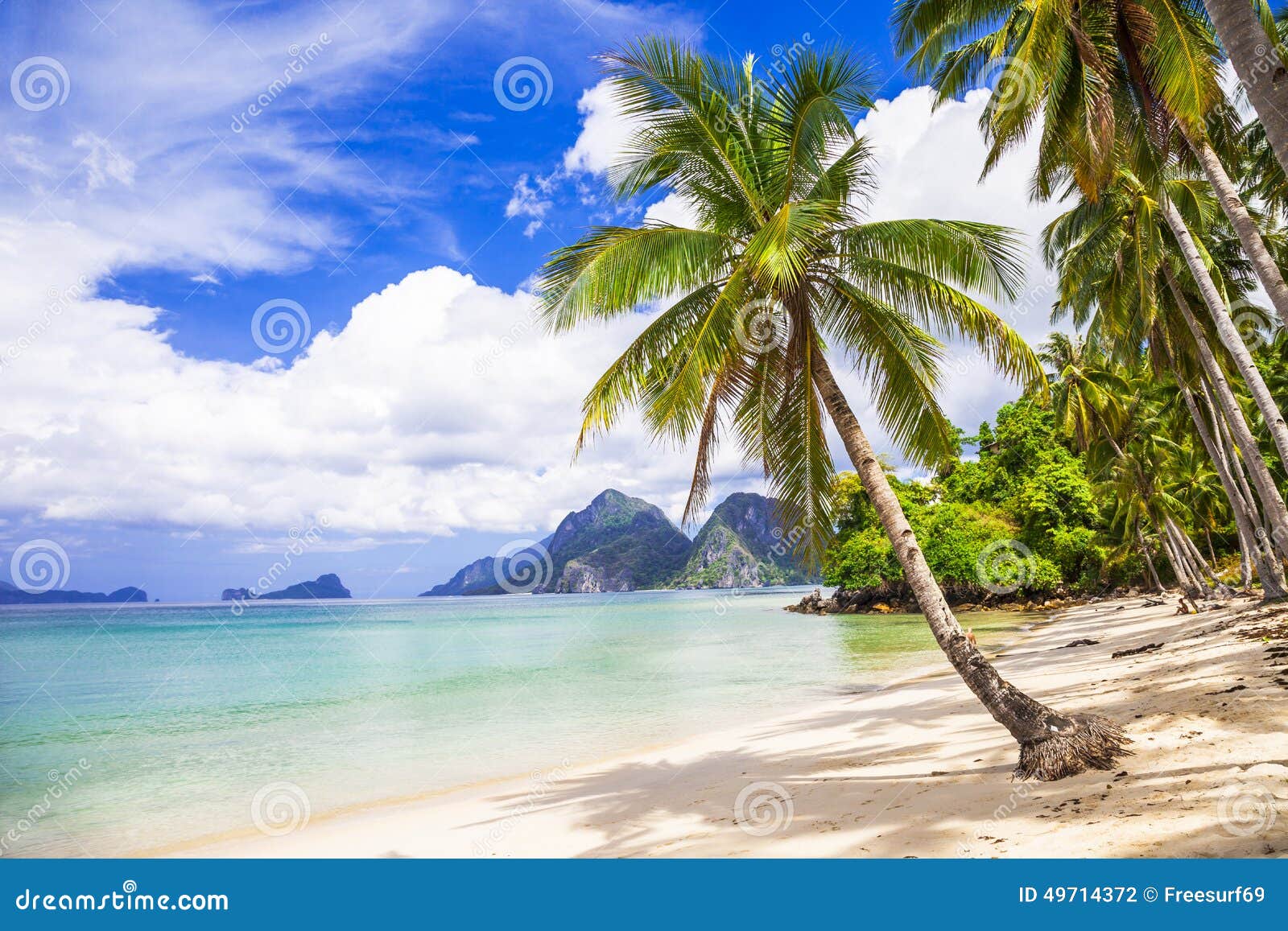 Tropical beach scenery stock photo. Image of coastline - 49714372