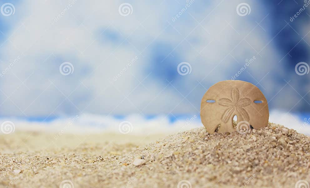 Tropical Beach stock image. Image of oceanside, animal - 218378857