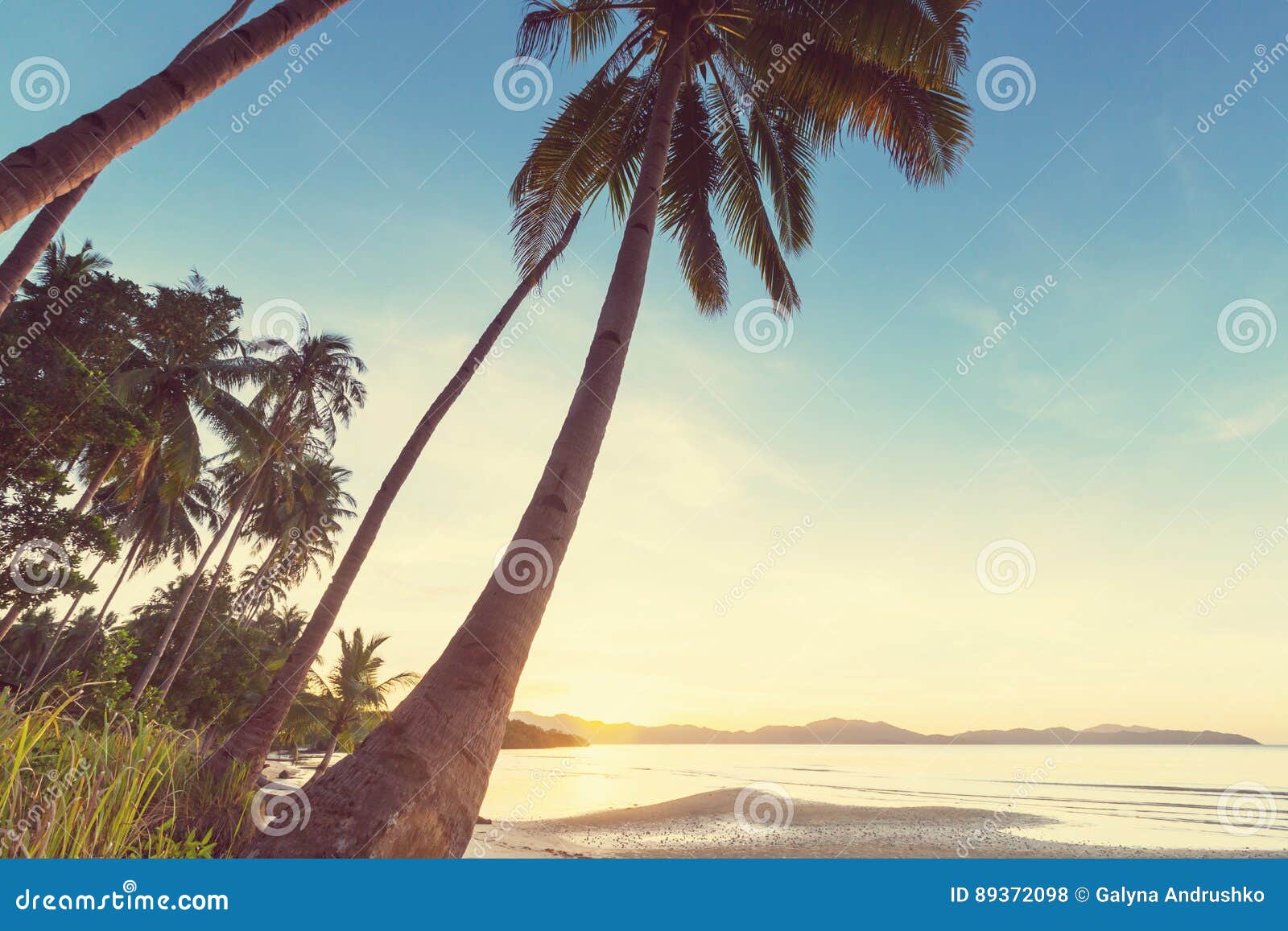 Tropical beach stock photo. Image of exotic, beach, scene - 89372098
