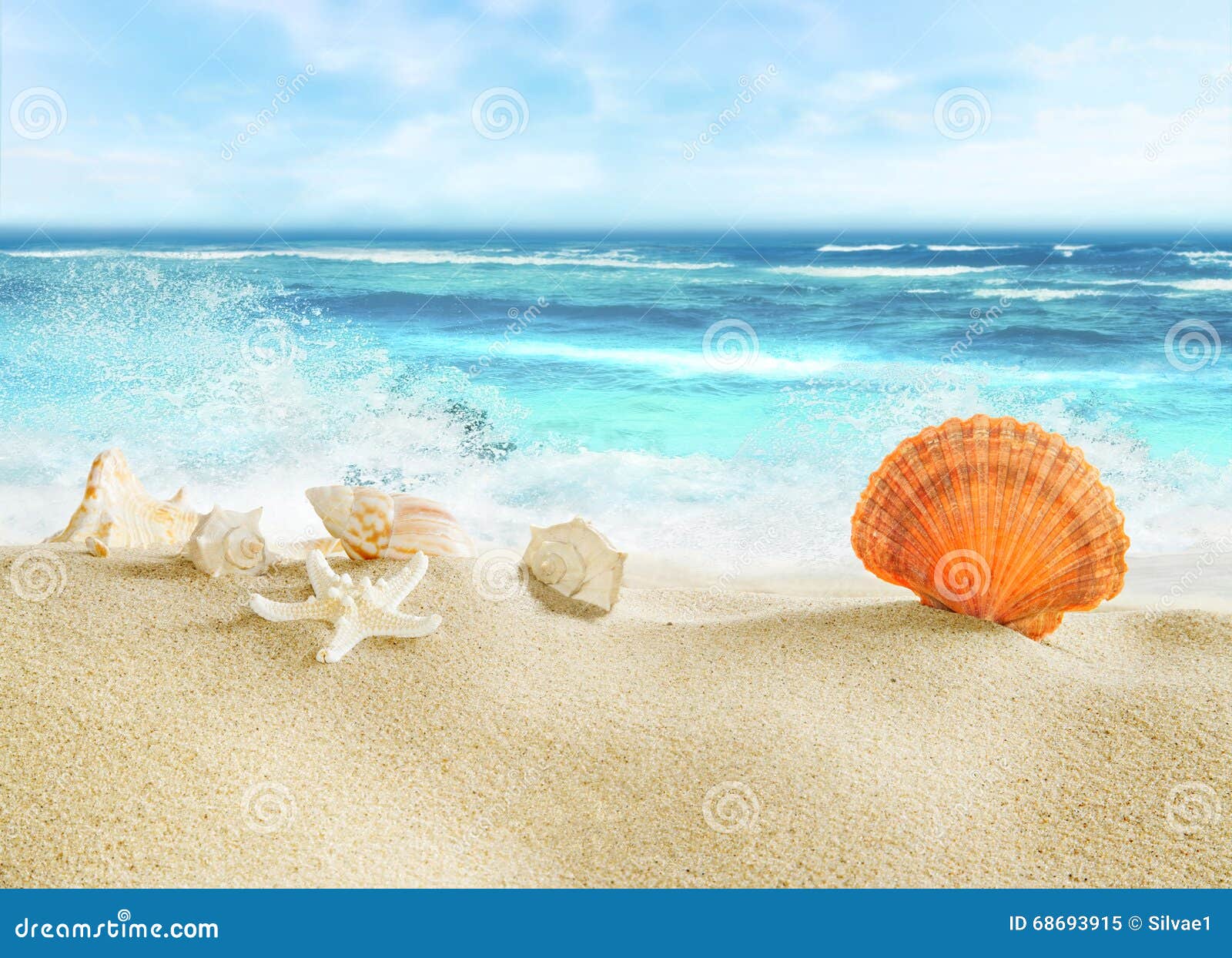 Tropical Beach with Shells. Stock Image - Image of idyllic, outdoors ...