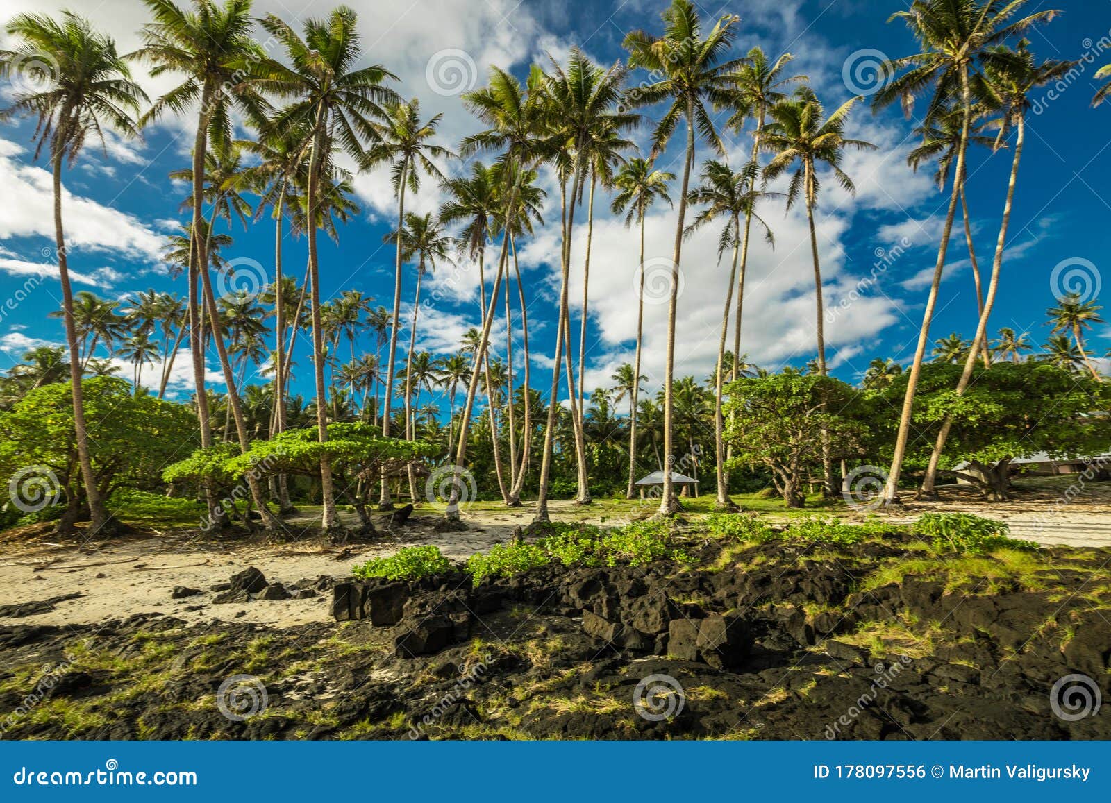 Tropical Beach on South Side of Samoa Island with Coconut Palm Trees ...