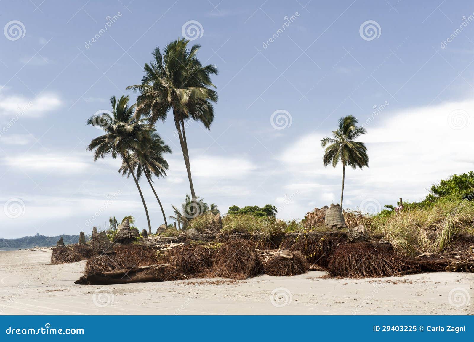 Tropical Beach after a Storm Stock Image - Image of tree, water: 29403225