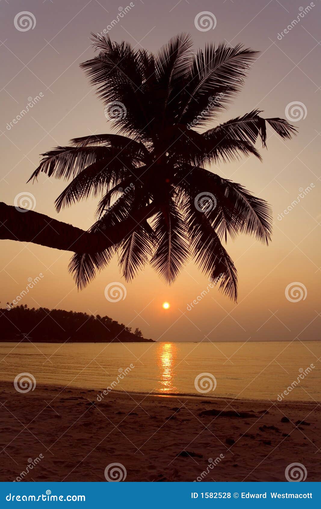 Tropical beach sunset stock photo. Image of dusk, island - 1582528