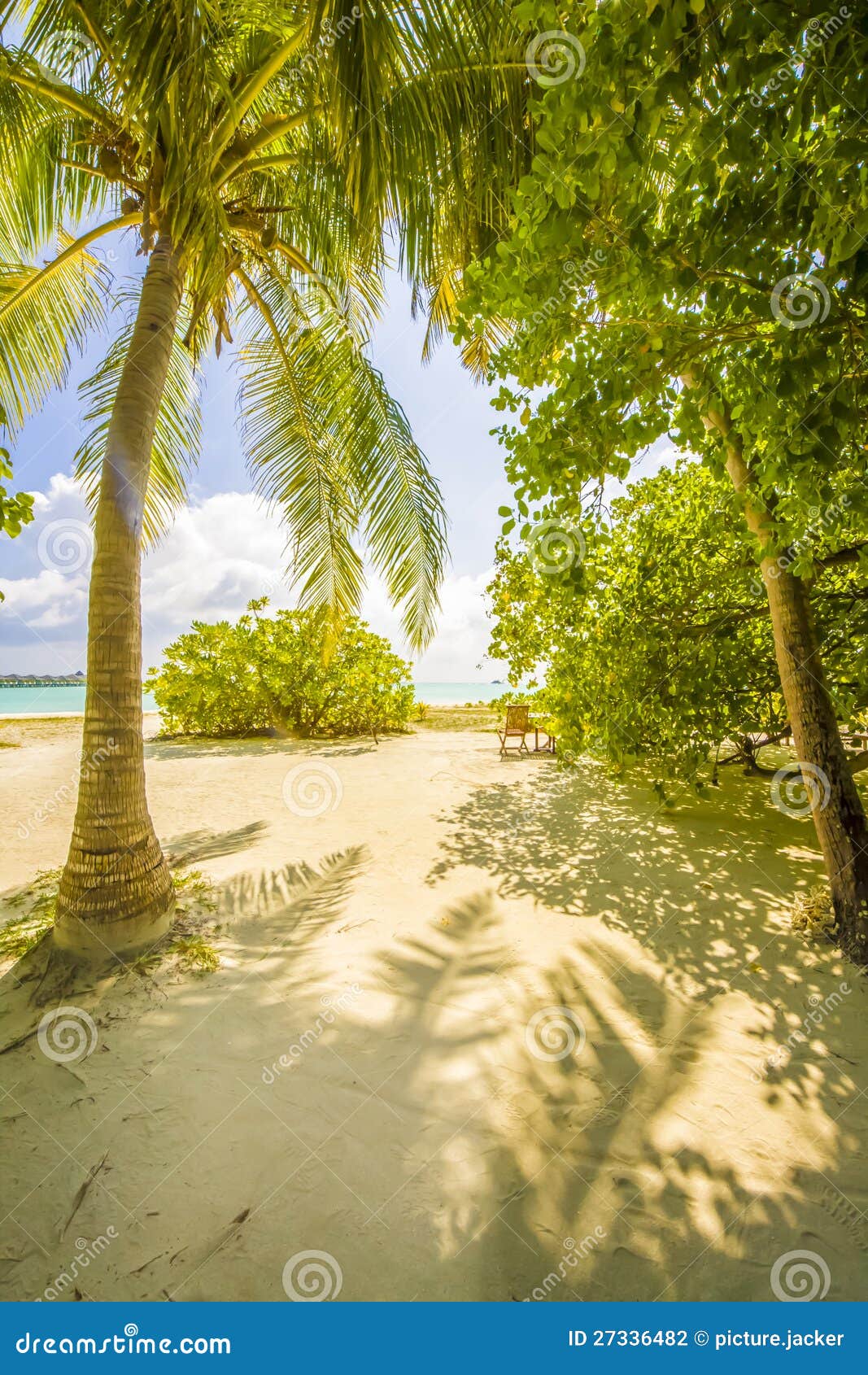 Tropical beach with trees stock photo. Image of branch - 27336482