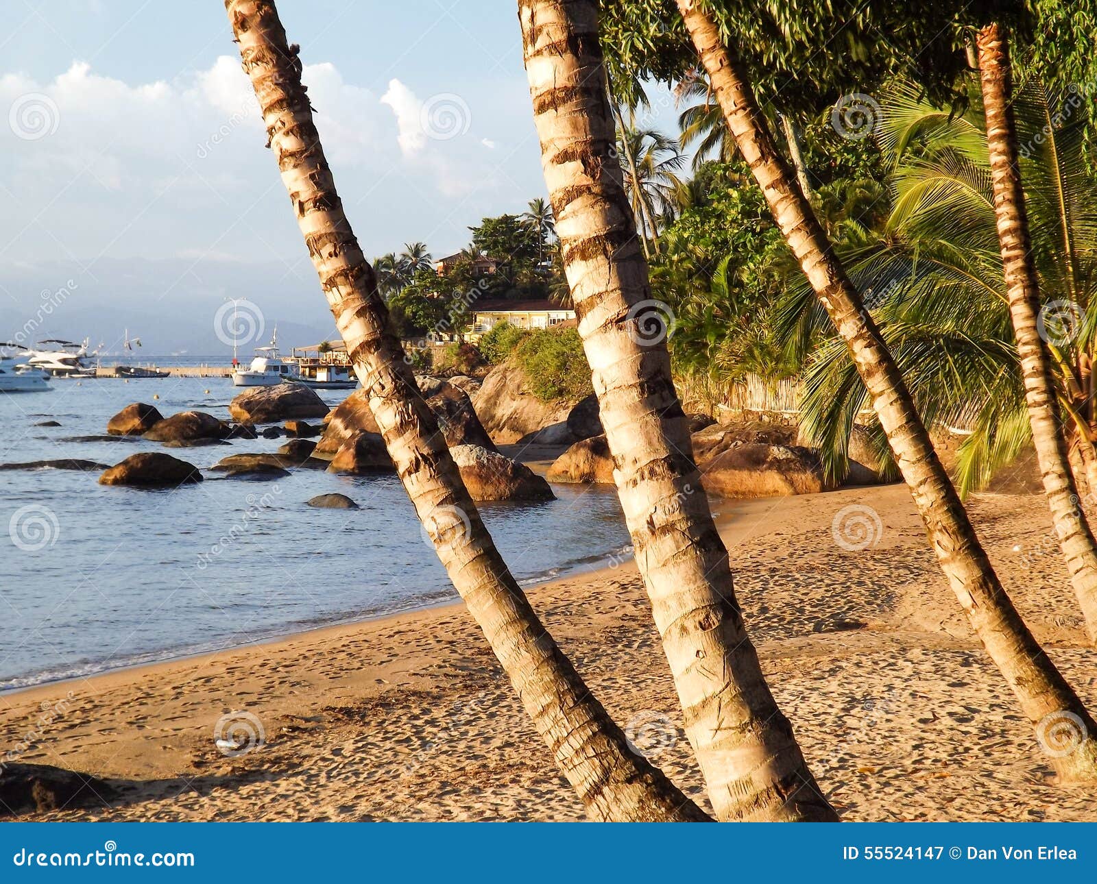 Tropical Beach stock image. Image of holoday, vacation - 55524147