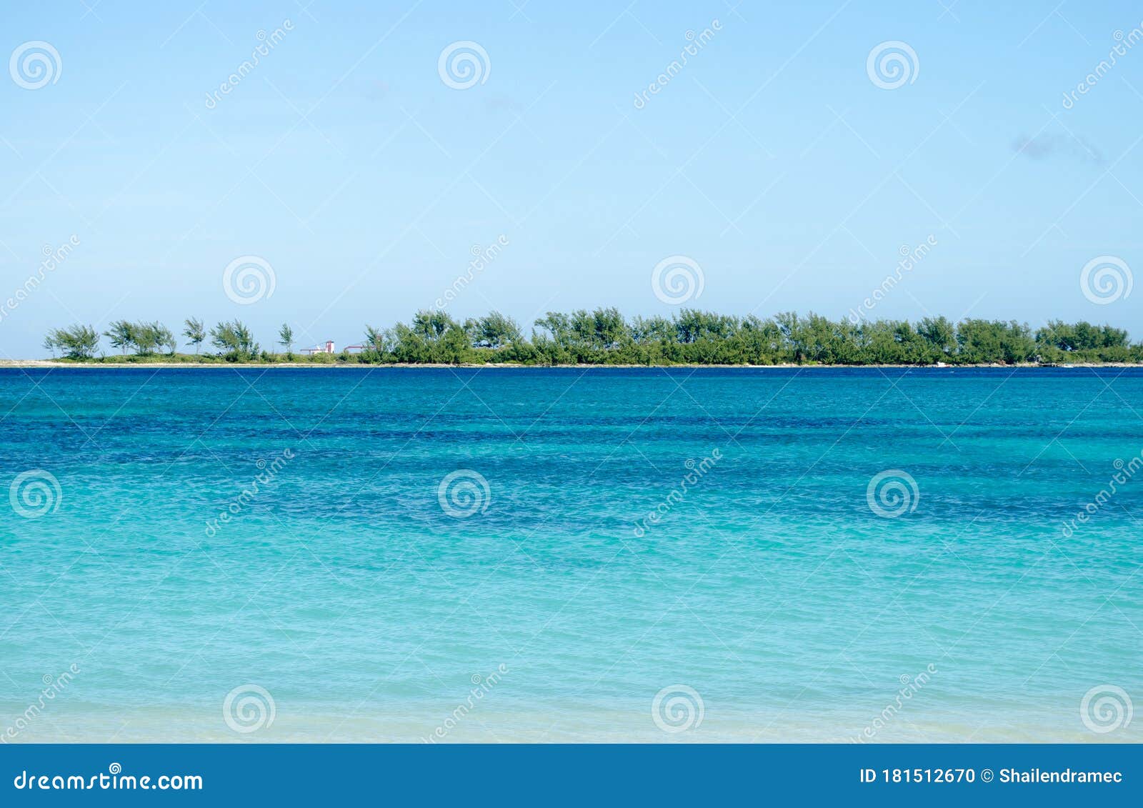 Tropical beach with trees stock photo. Image of forest - 181512670