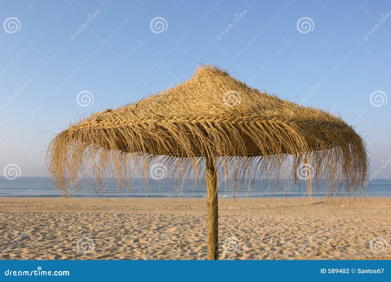 Tropical beach umbrella stock photo. Image of water, portugal - 589402