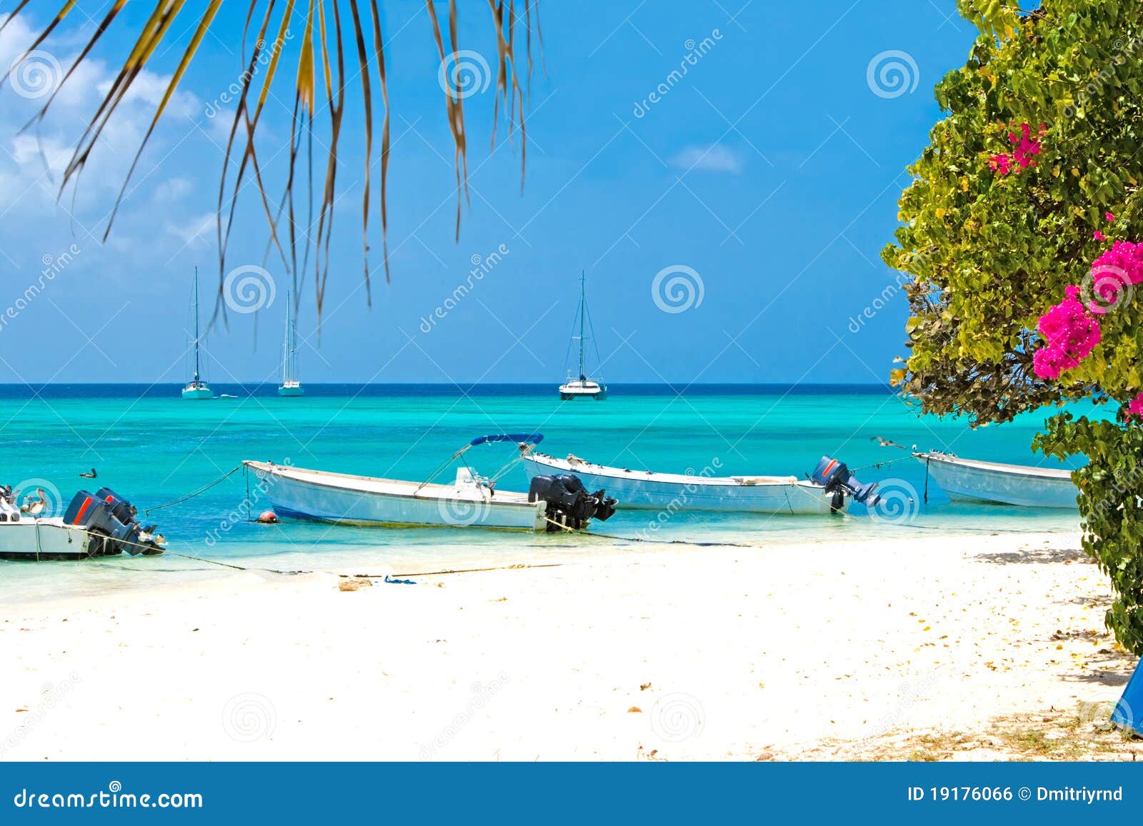 Tropical beach, Venezuela stock photo. Image of rest - 19176066