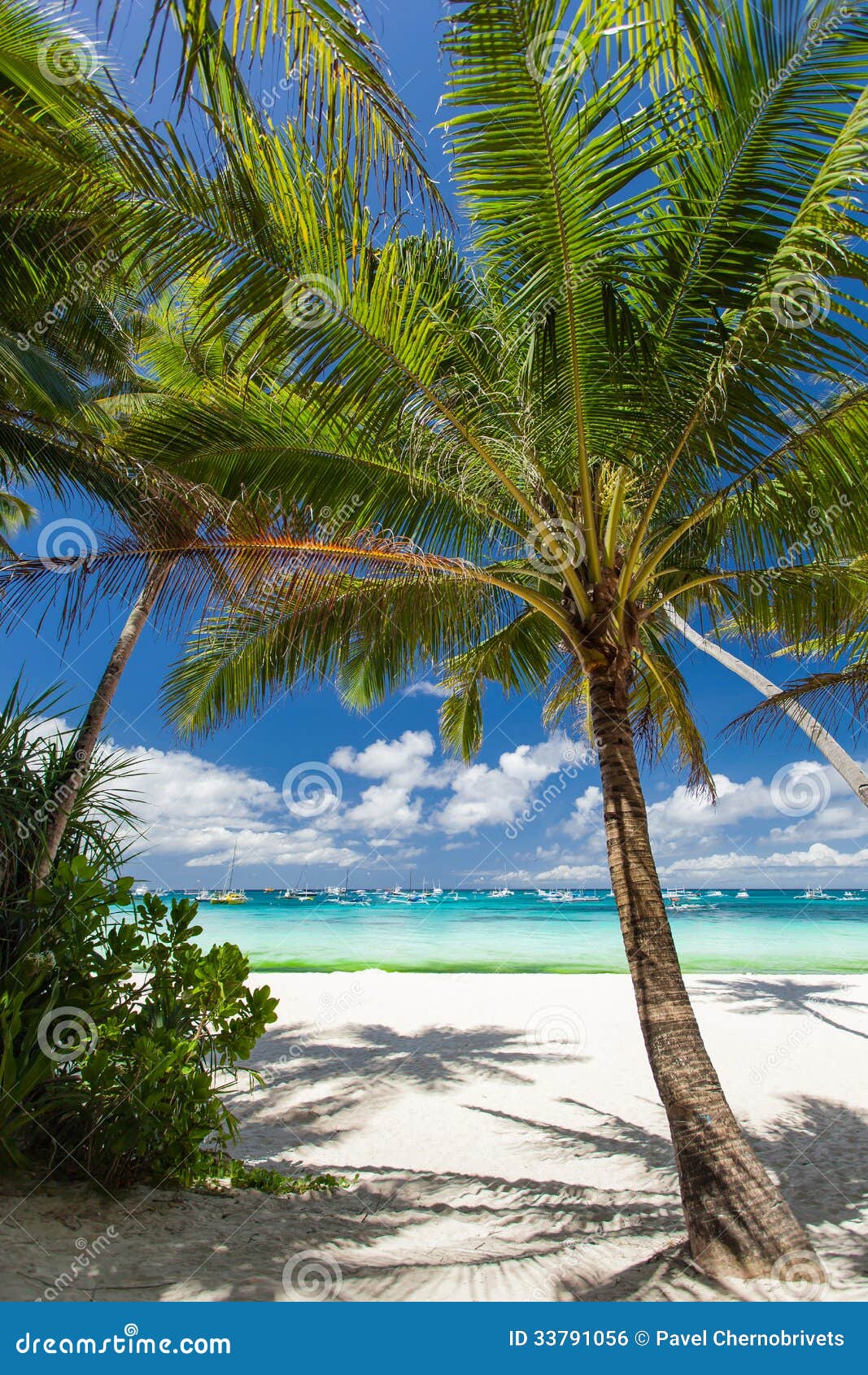 Tropical Beach with White Sand Stock Photo - Image of dominican, cuba ...