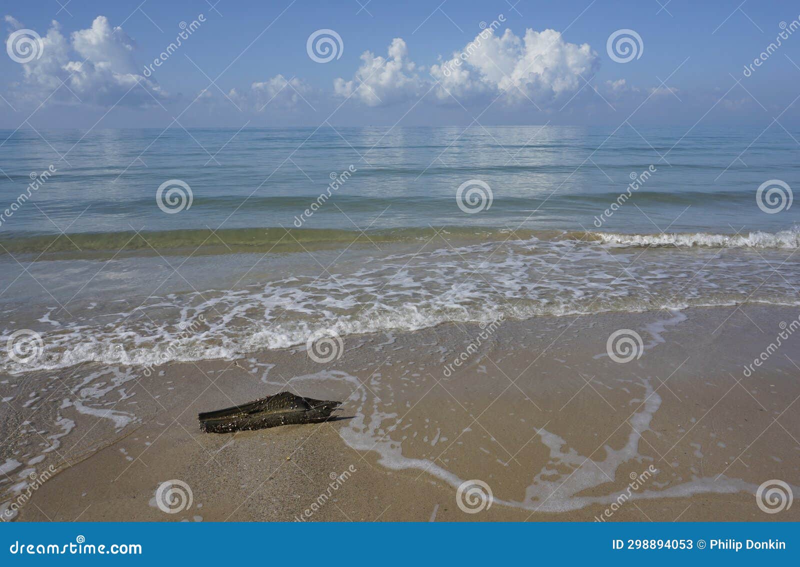 Tropical Beaches and Seas with Their Unique Features and Coastlines ...