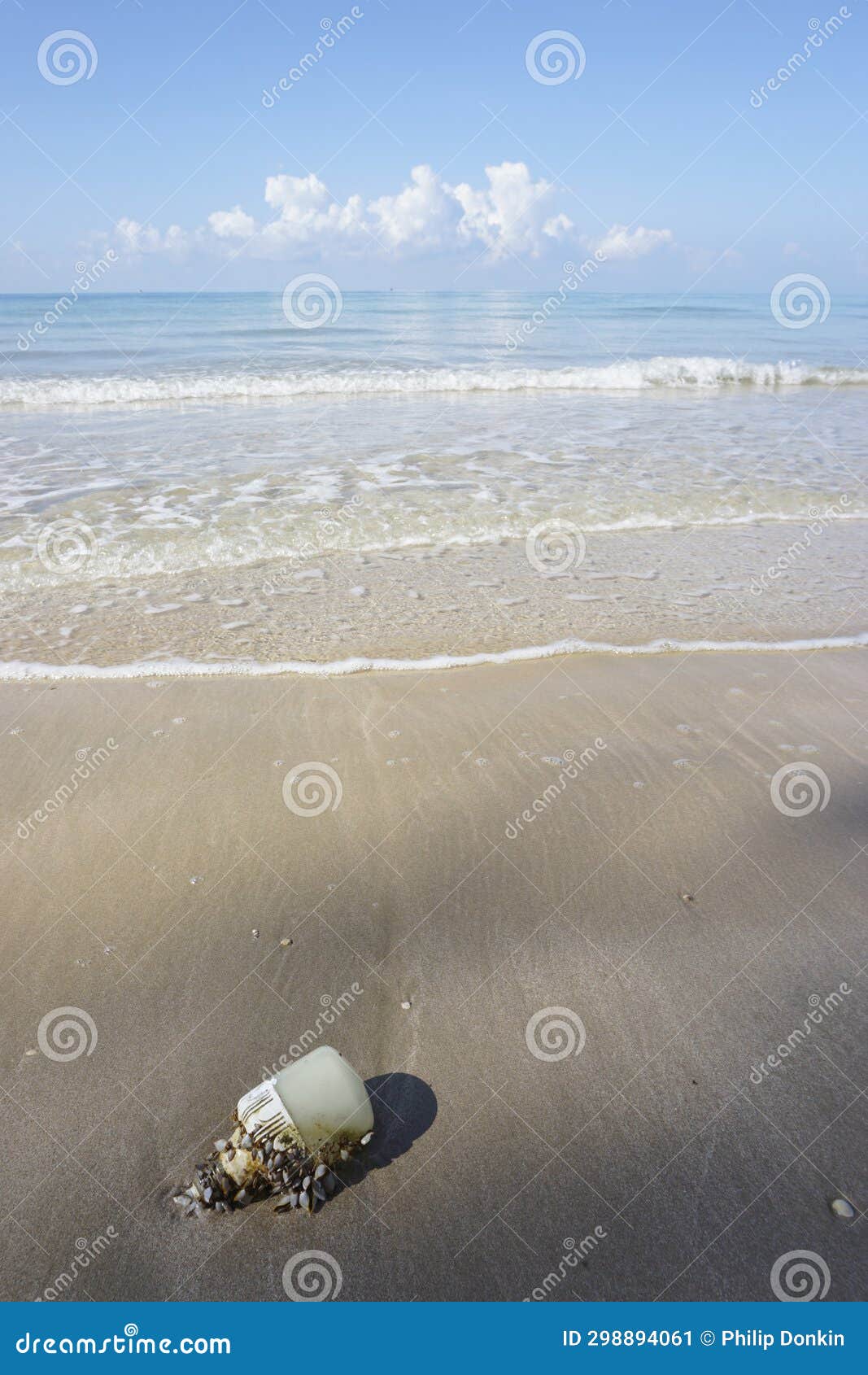 Tropical Beaches and Seas with Their Unique Features and Coastlines ...