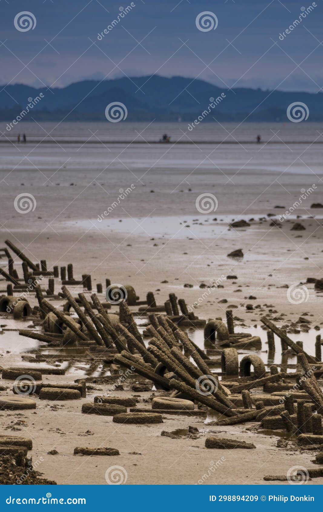 Tropical Beaches and Seas with Their Unique Features and Coastlines ...