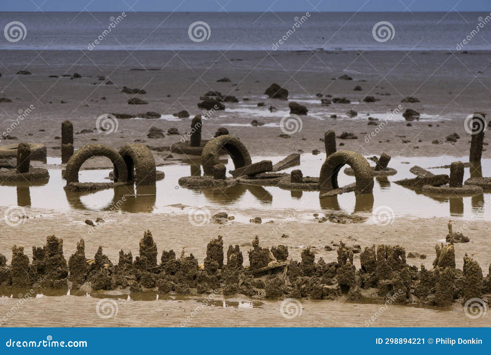 Tropical Beaches and Seas with Their Unique Features and Coastlines ...