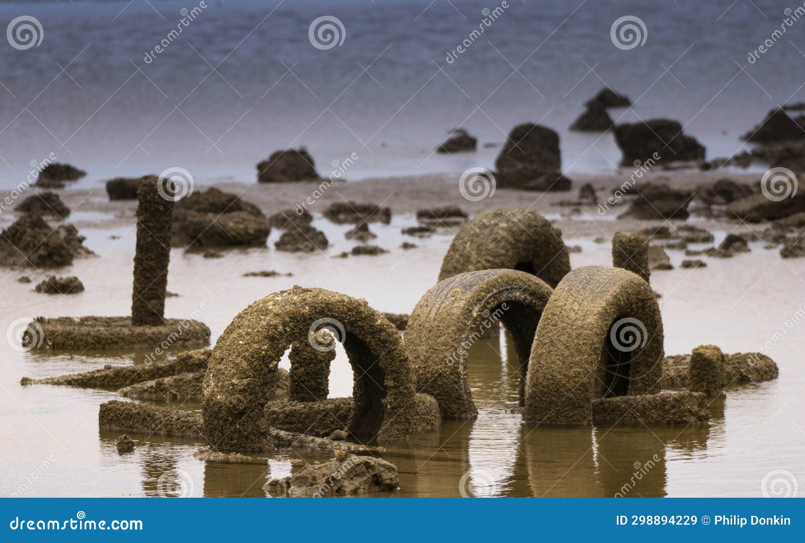 Tropical Beaches and Seas with Their Unique Features and Coastlines ...