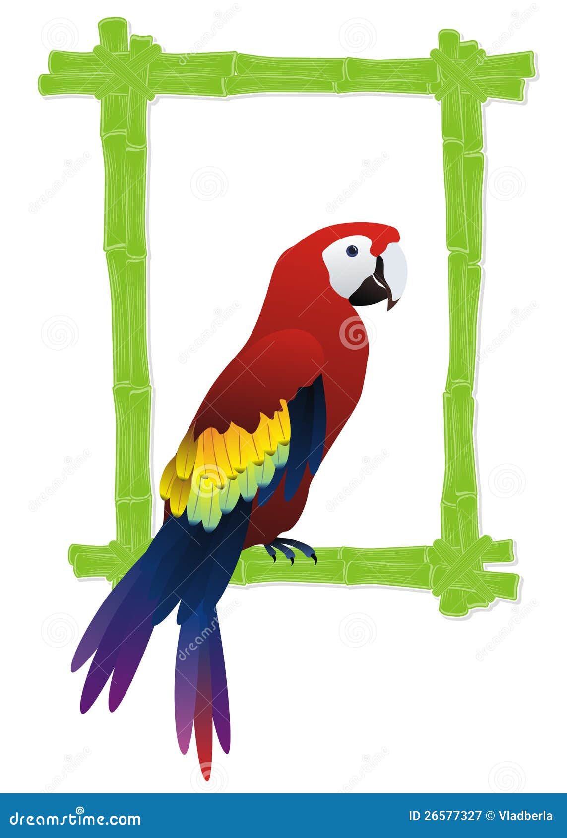 Tropical bird frame stock vector. Illustration of exotic - 26577327