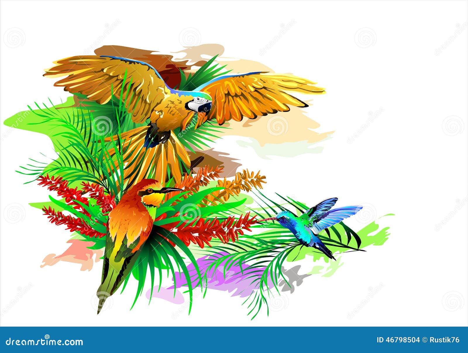 Tropical birds. (Vector) stock vector. Illustration of climate - 46798504