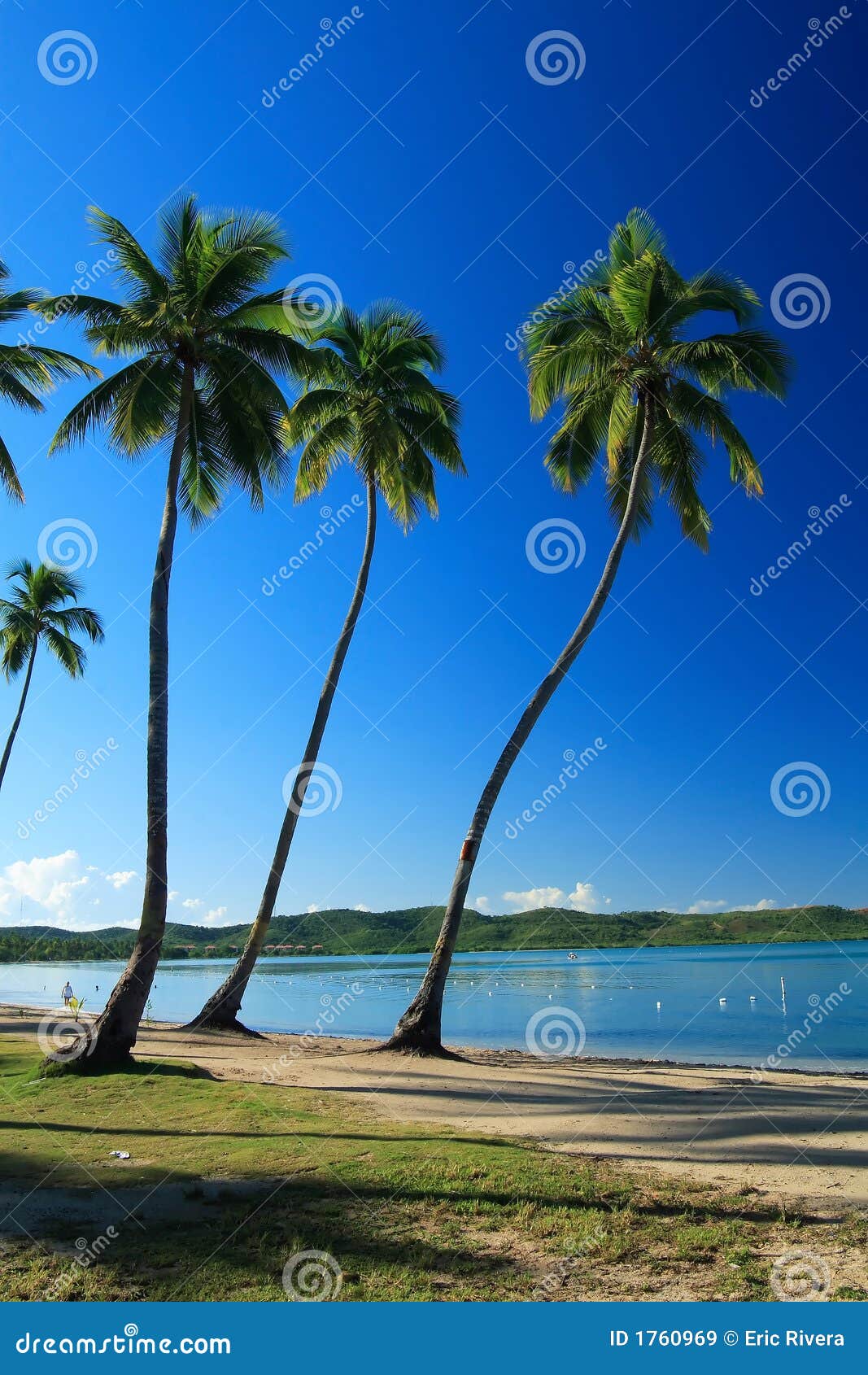 Tropical blue stock image. Image of rico, scene, green - 1760969