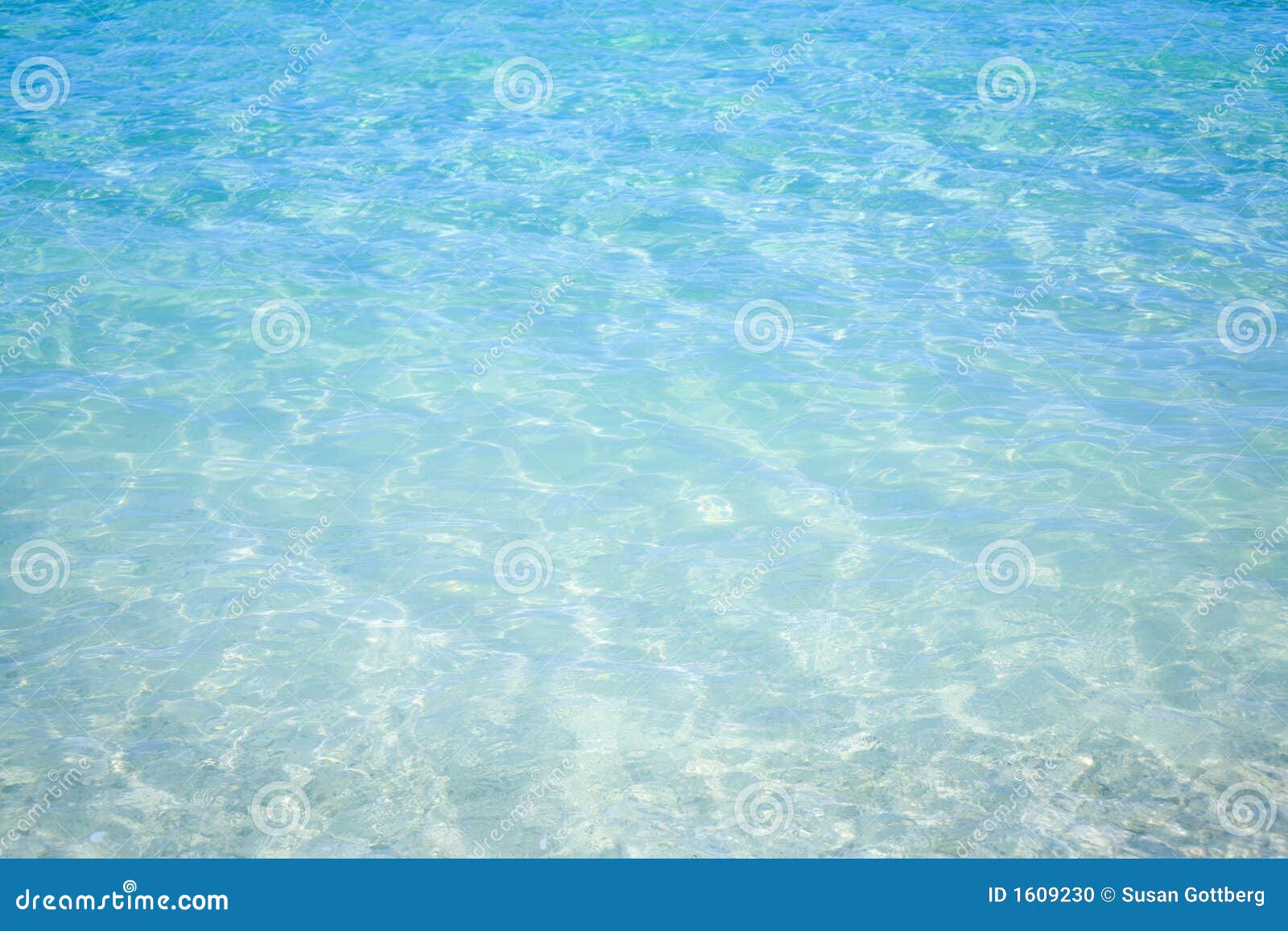 Tropical Blue Ocean stock photo. Image of ripples, waves - 1609230