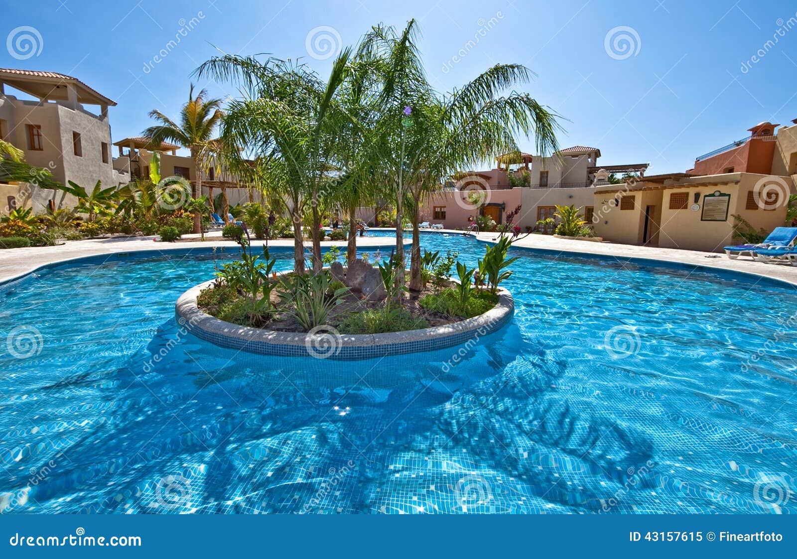 Tropical Blue Pool stock image. Image of pools, seagull - 43157615