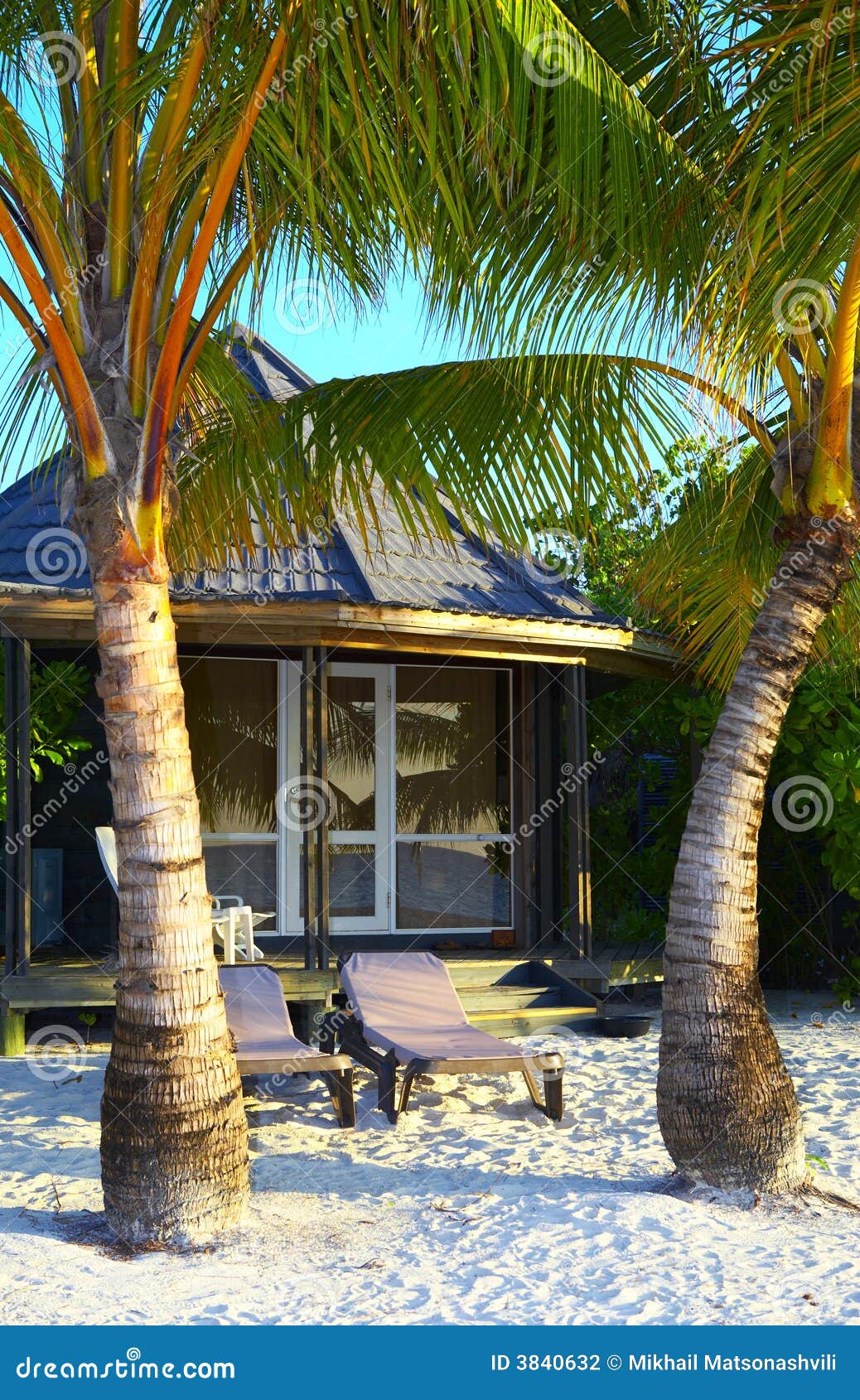 Tropical Bungalow Among Palm Trees Royalty-Free Stock Photo ...