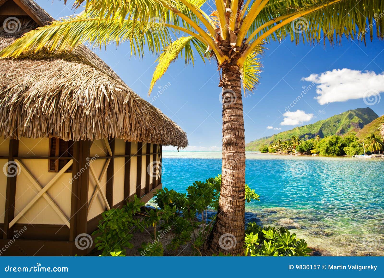 Tropical Bungalow and Palm Tree Stock Image - Image of holiday, lagoon ...