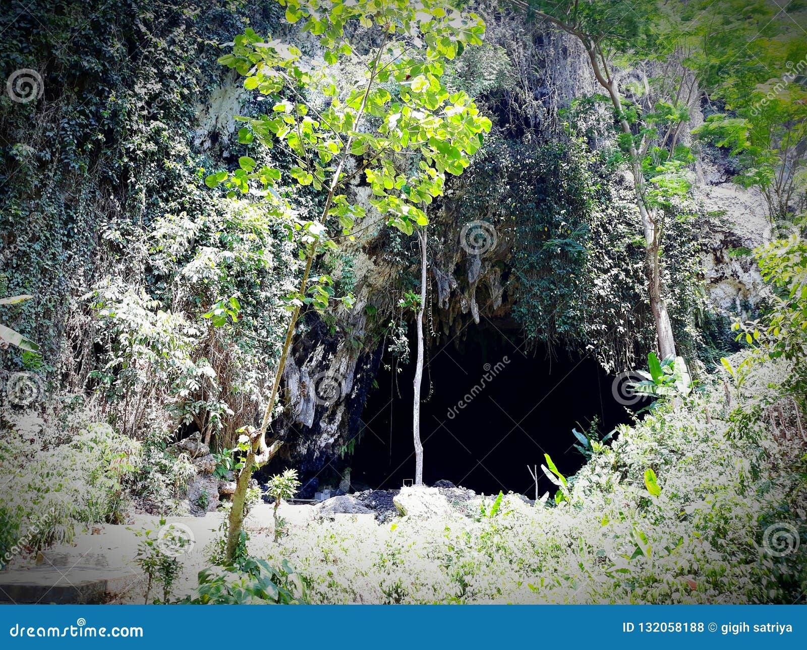 Tropical cave stock photo. Image of plants, nature, trees - 132058188
