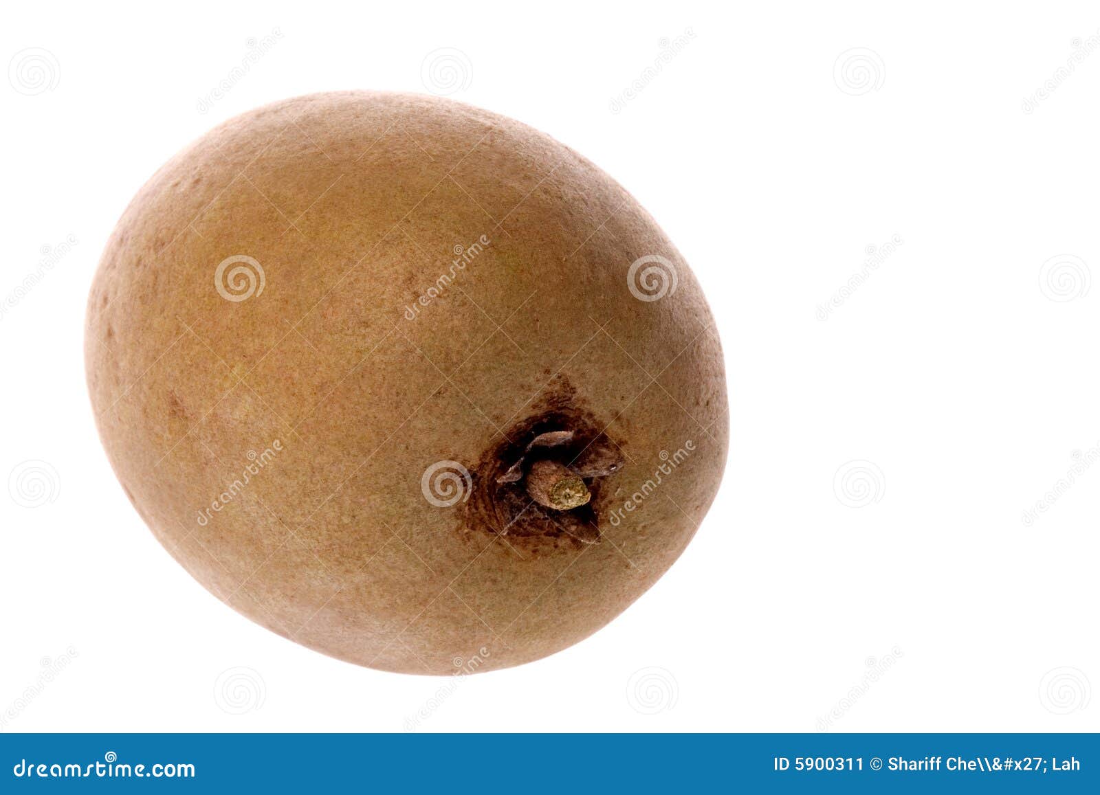 Tropical Ciku Fruit stock image. Image of agriculture - 5900311