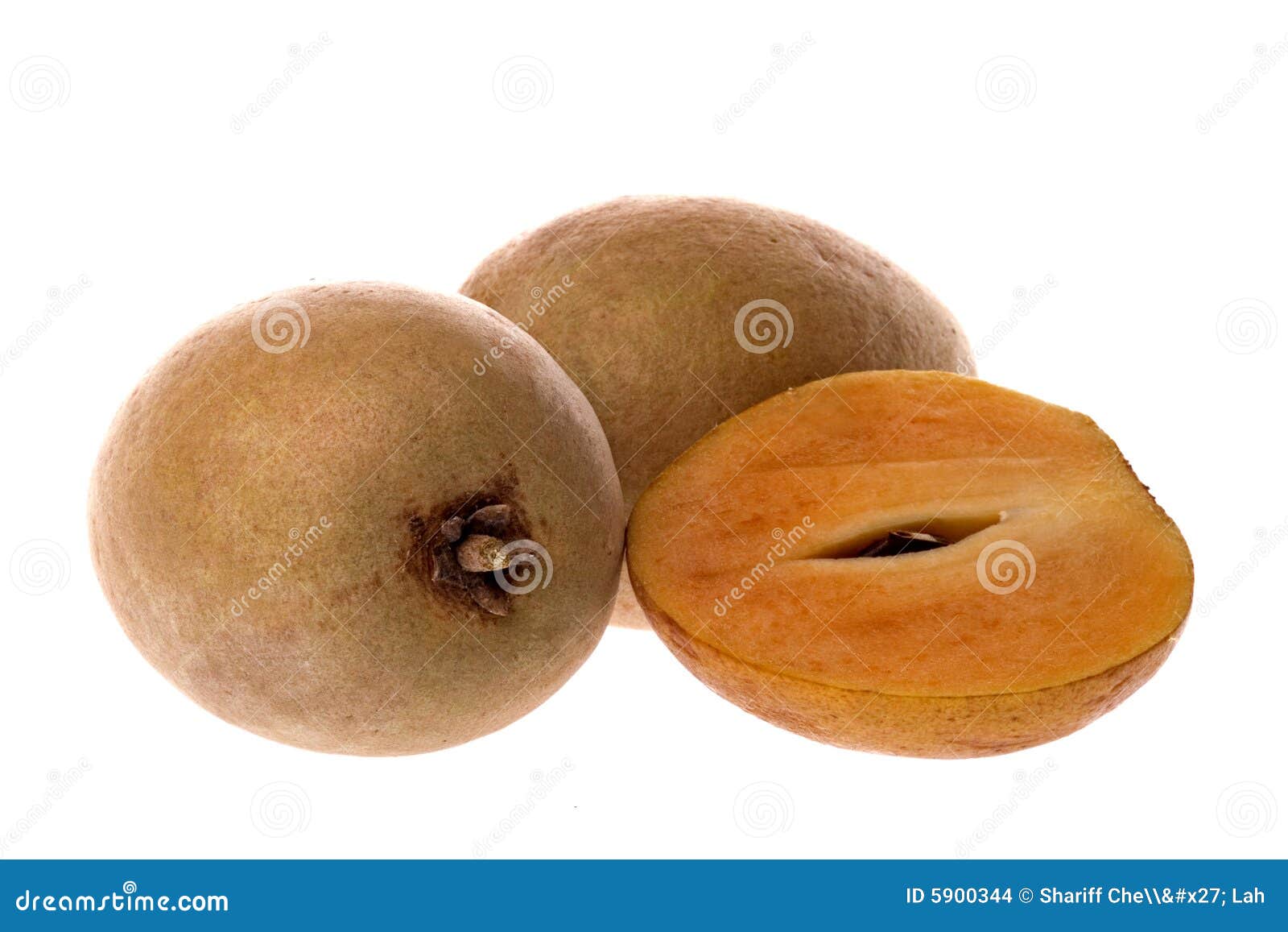 Tropical Ciku Fruits stock photo. Image of nutrition, healthy - 5900344