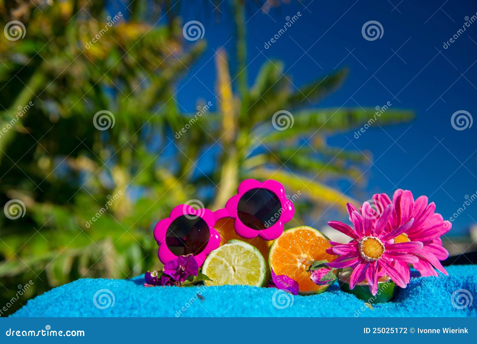 Tropical citrus fruit stock photo. Image of fruit, tropical - 25025172